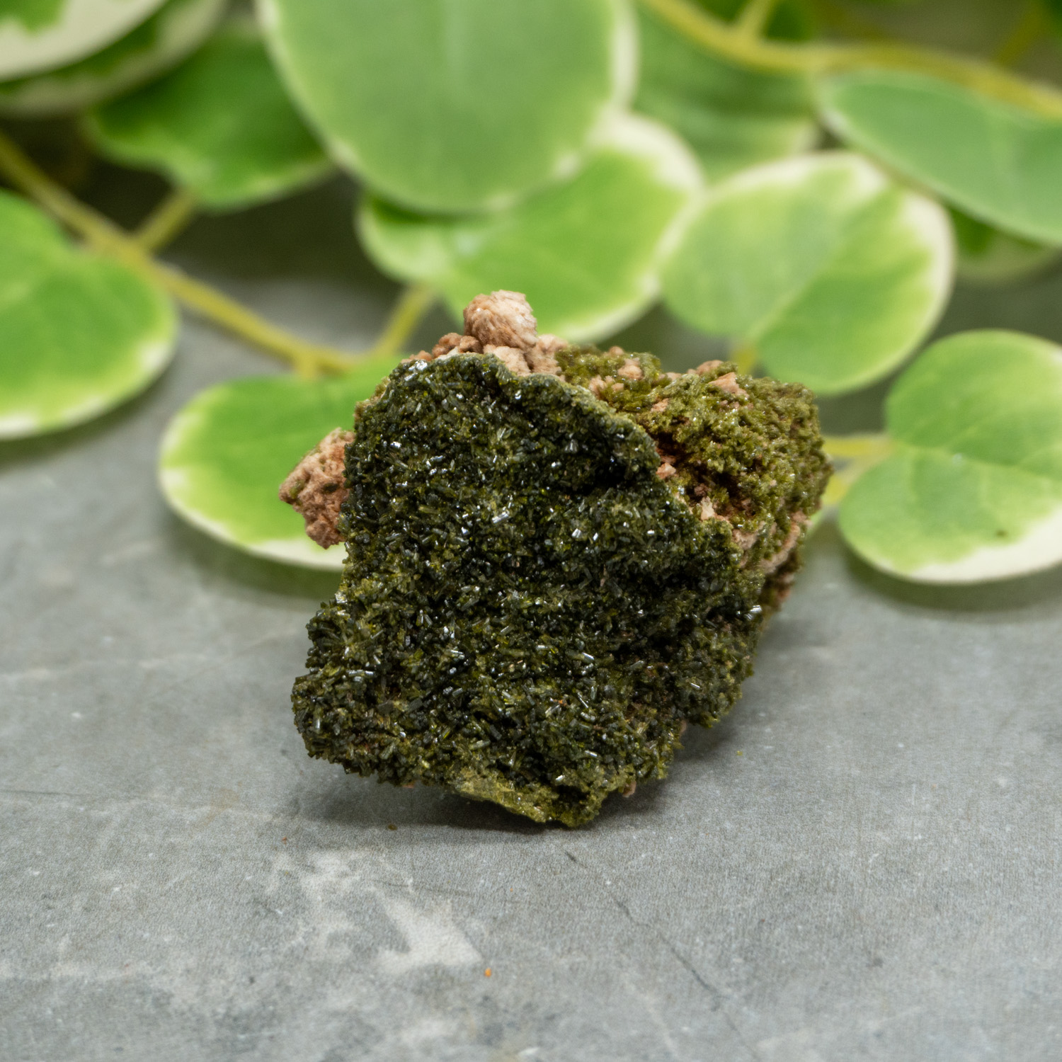 Druzy Raw Epidote #1 - The Crystal Council