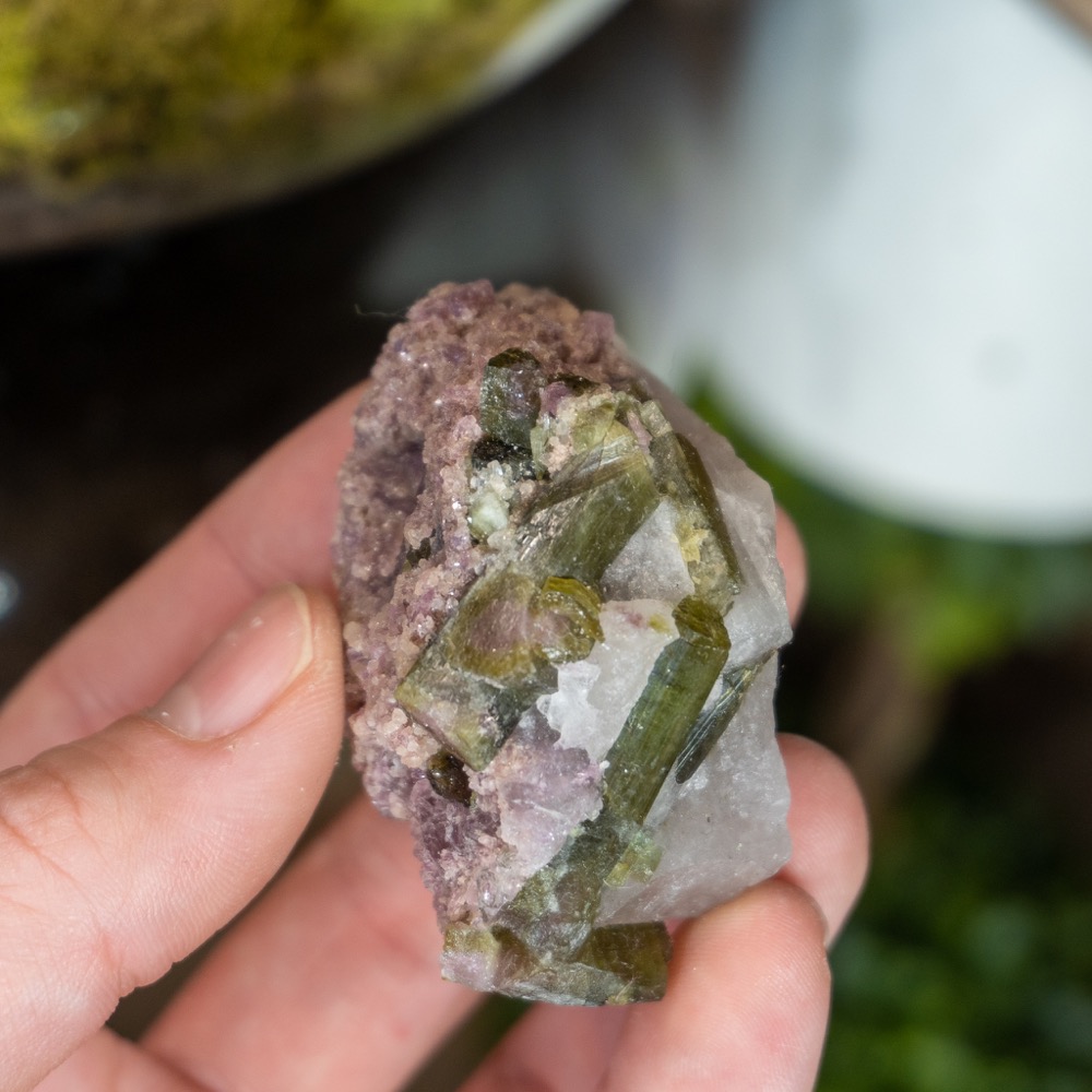 Small Watermelon Tourmaline #2 - The Crystal Council