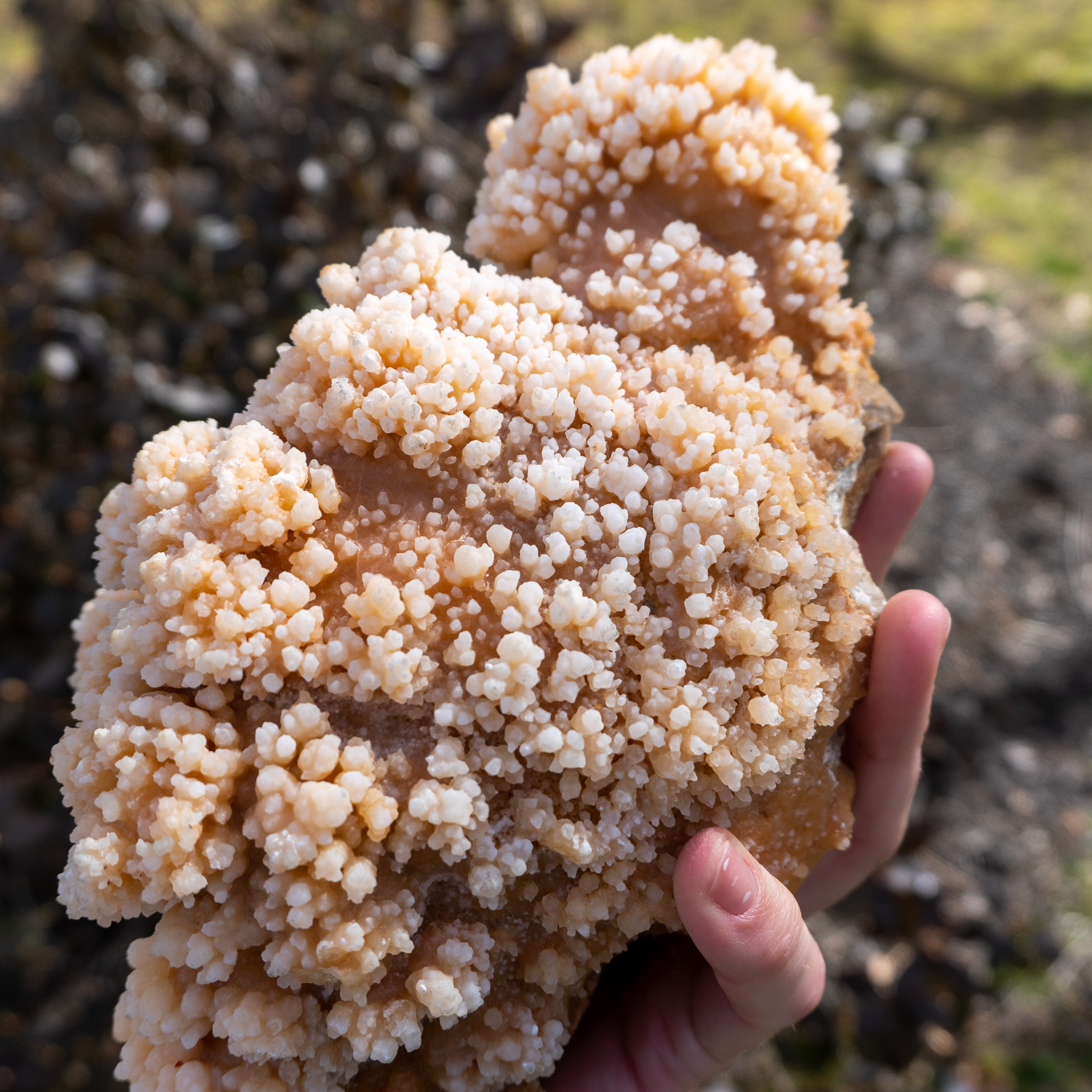 "Cauliflower" Calcite #1 - The Crystal Council