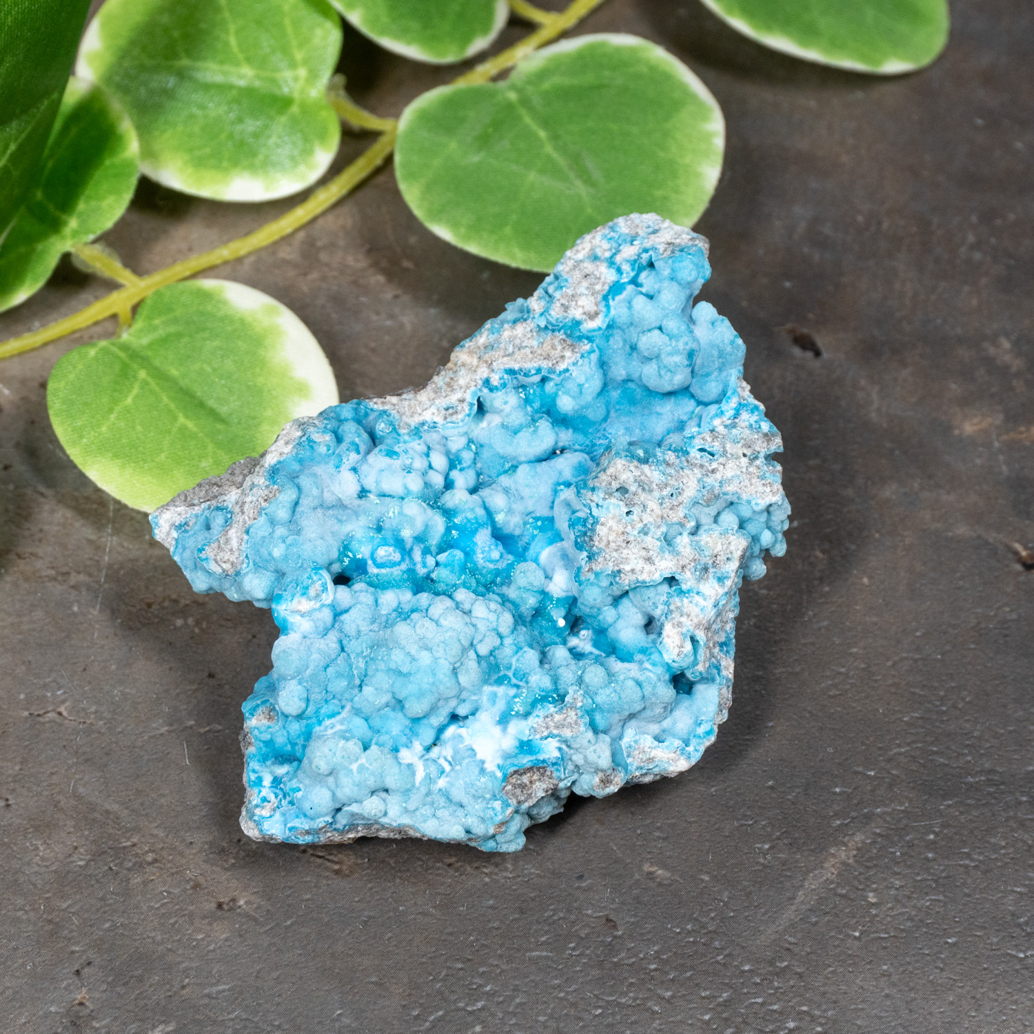 Botryoidal Blue Hemimorphite #1 - The Crystal Council