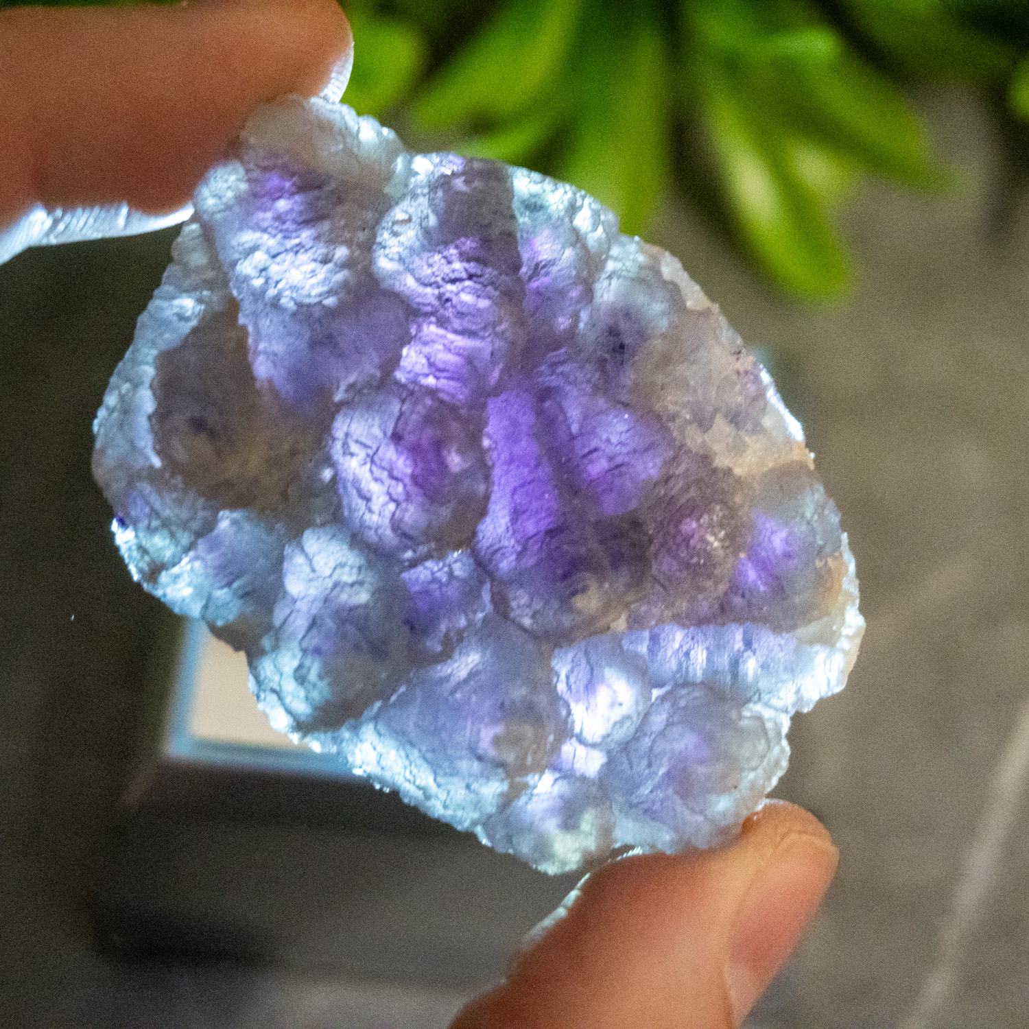Purple & Green Fluorite With Colorless Fluorite #3 - The Crystal Council