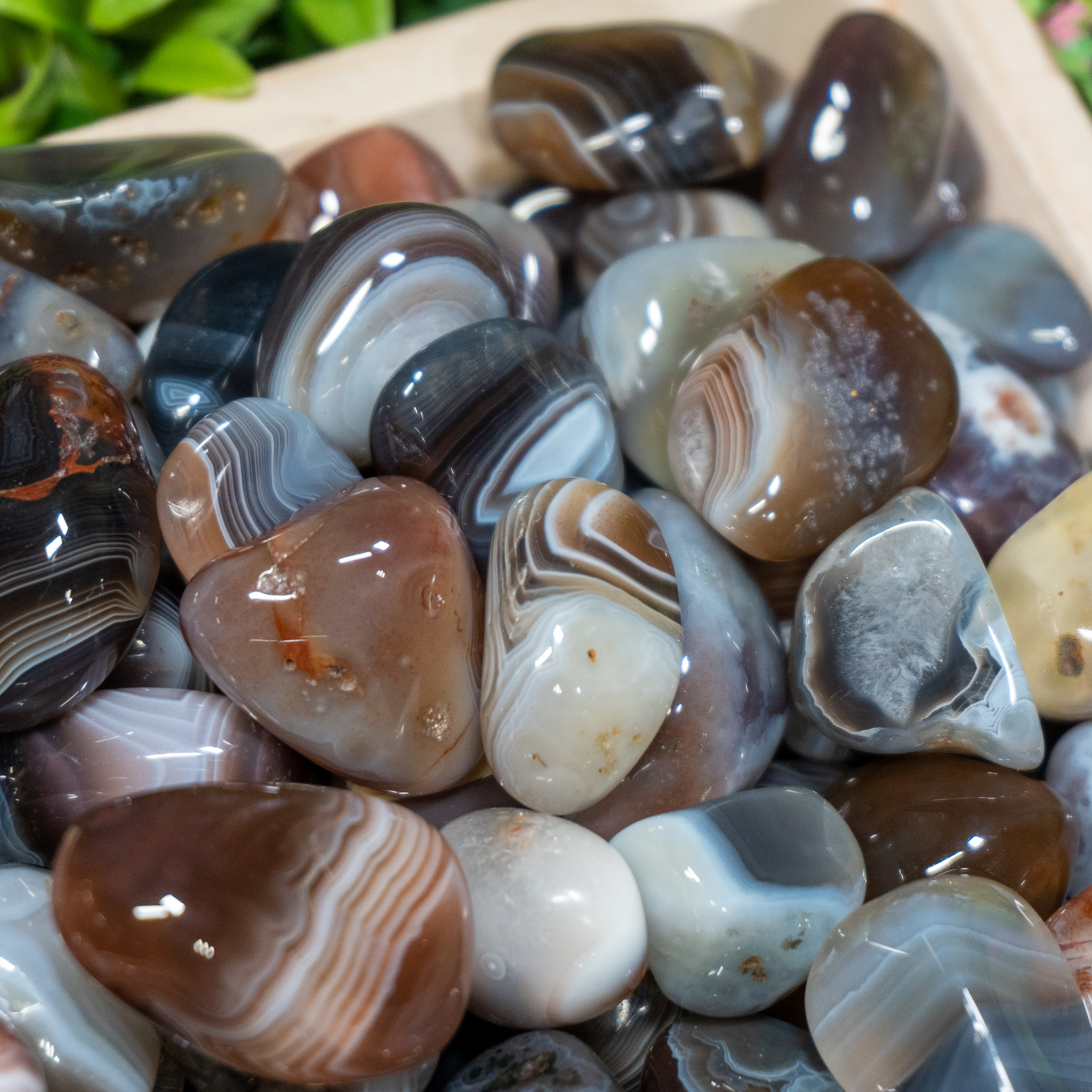 Ocean Jasper Tumbled - The Crystal Council