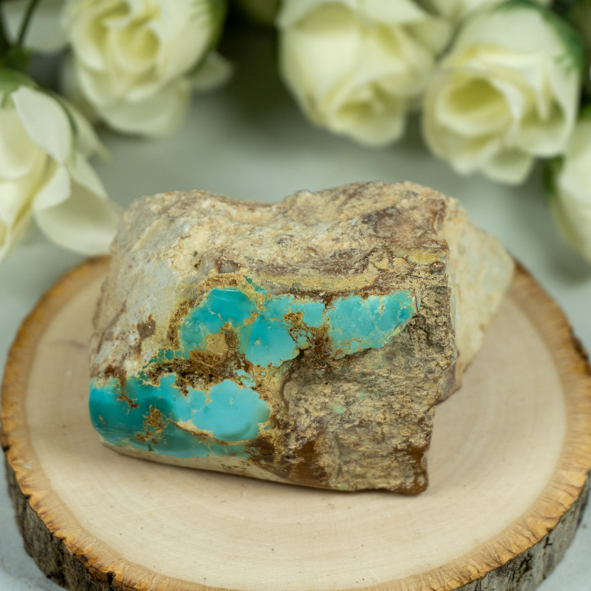 Polished Turquoise on Matrix #2 - The Crystal Council