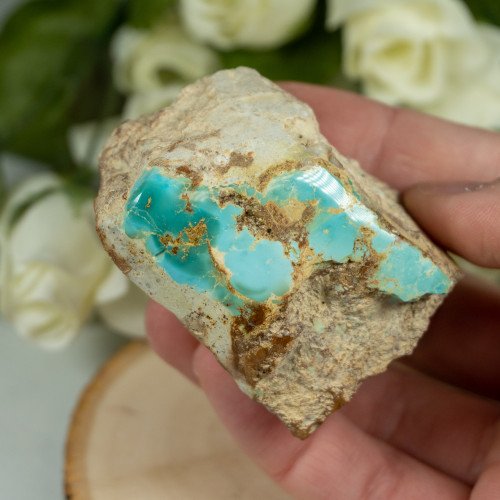 Polished Turquoise on Matrix #2 - The Crystal Council