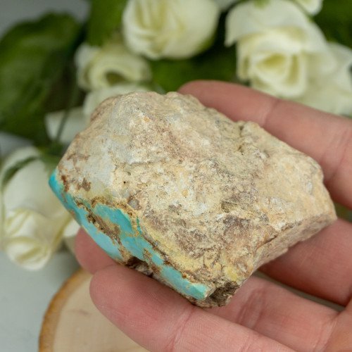 Polished Turquoise on Matrix #2 - The Crystal Council