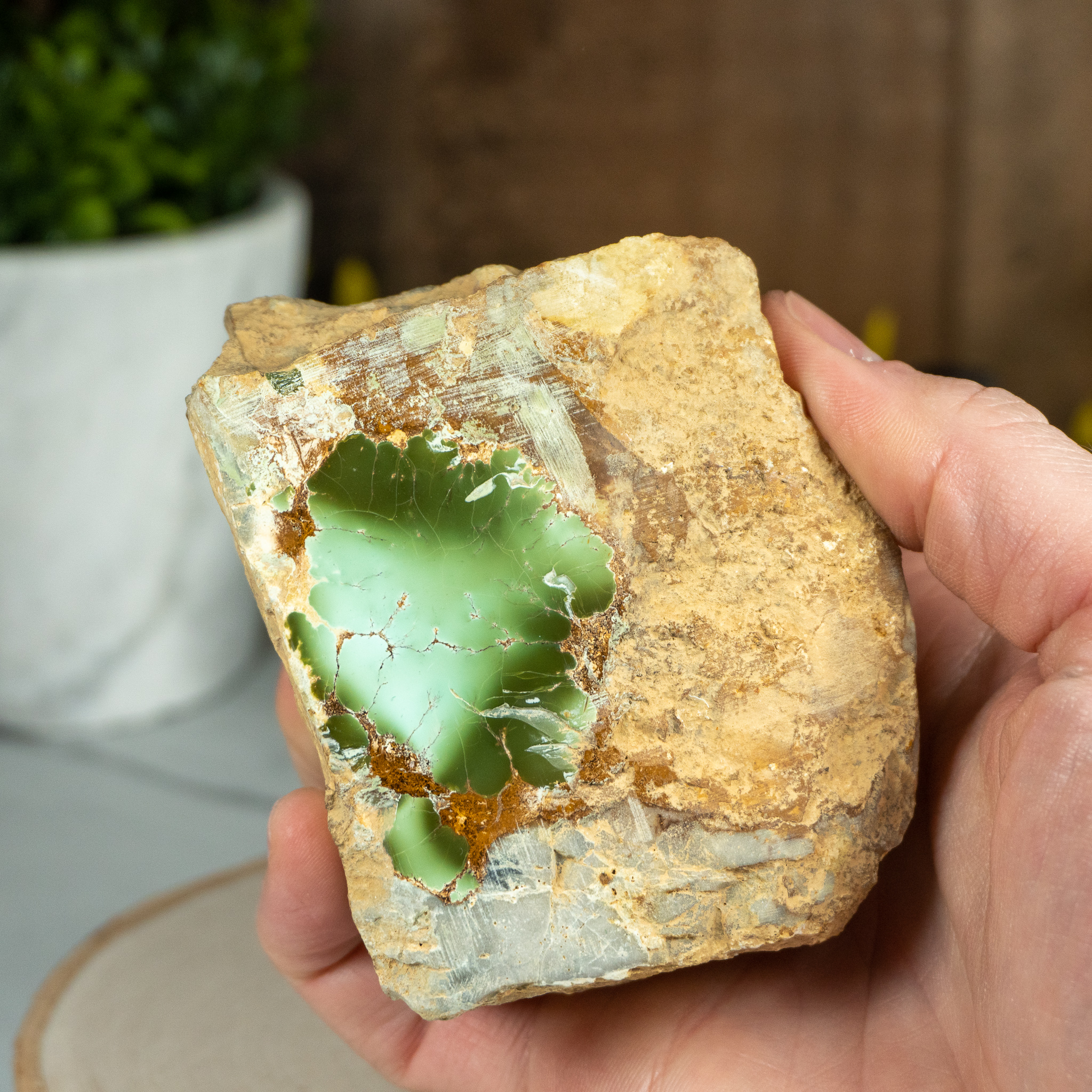 Polished Turquoise on Matrix #6 - The Crystal Council