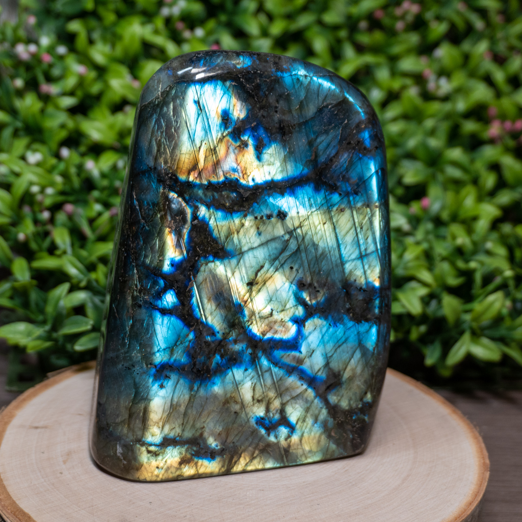 Polished Cut Base Labradorite #2 - The Crystal Council