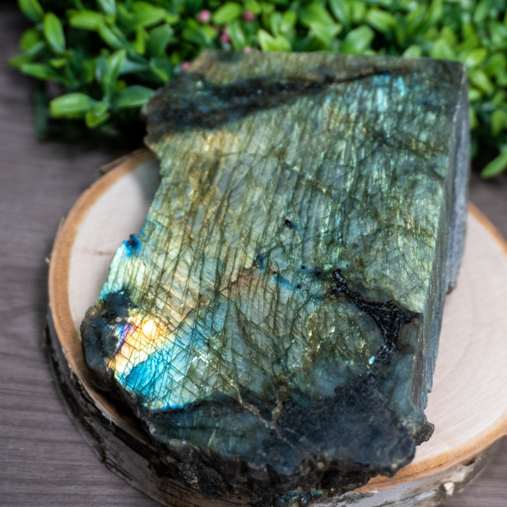 Half Polished Cut Base Labradorite #5 - The Crystal Council