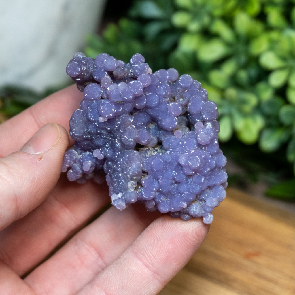 Grape Agate #4 - The Crystal Council