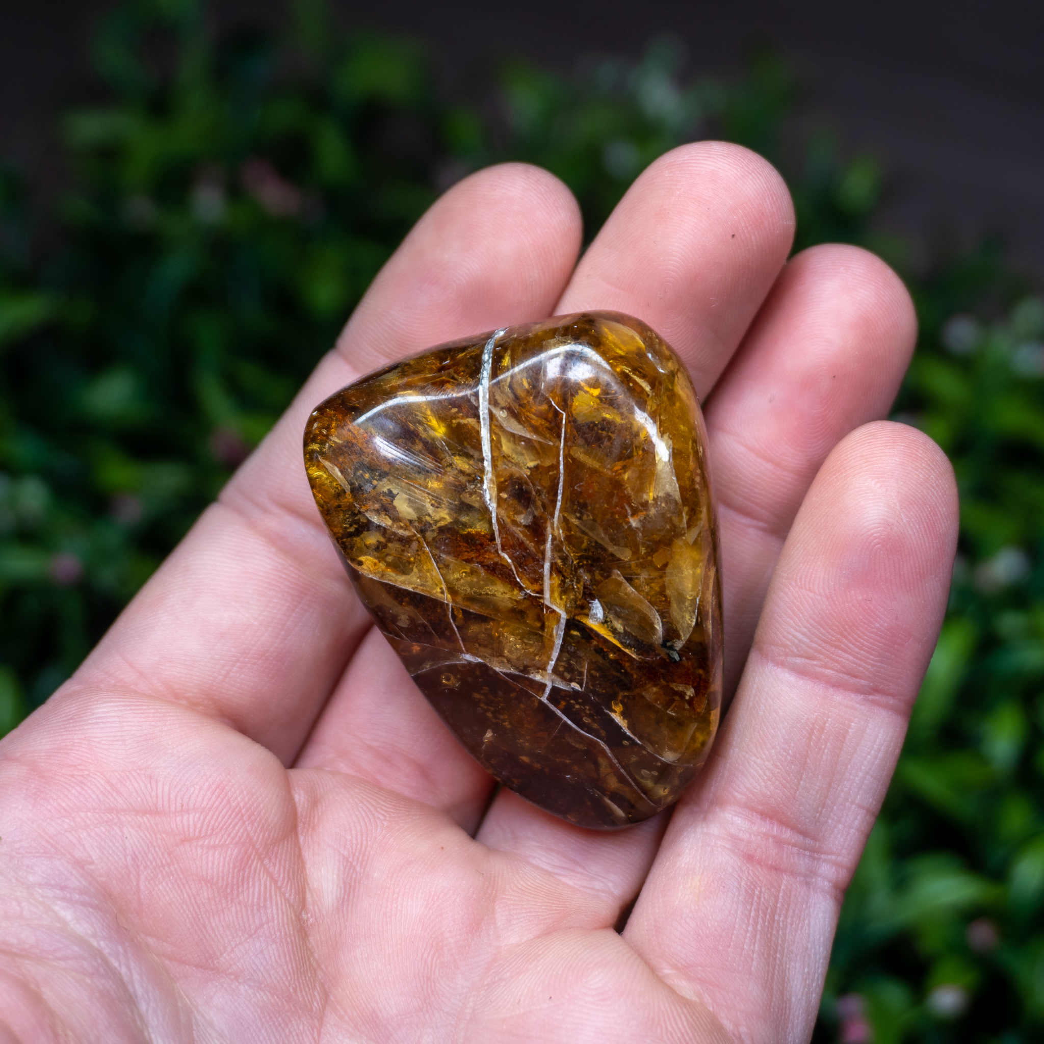 Amber #11 - The Crystal Council