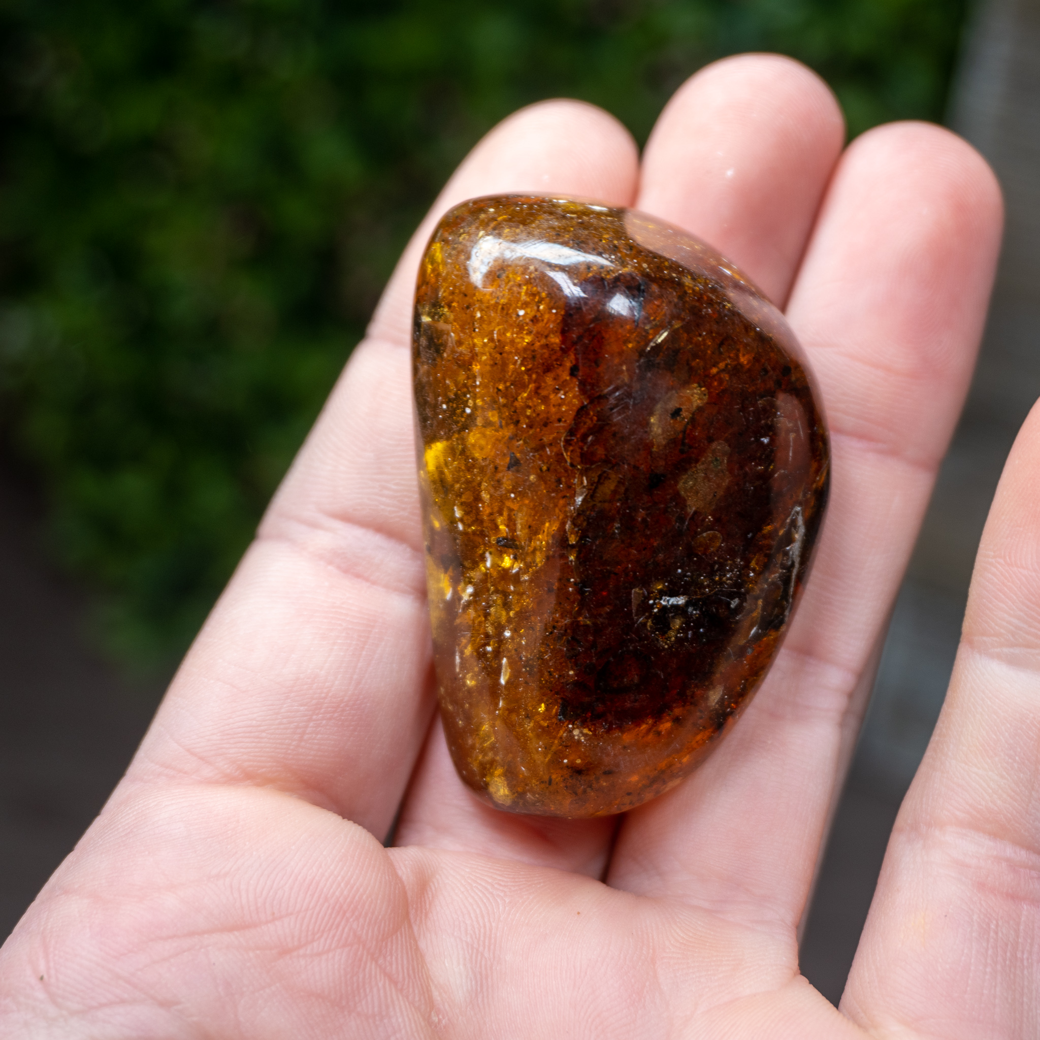 Amber #6 - The Crystal Council