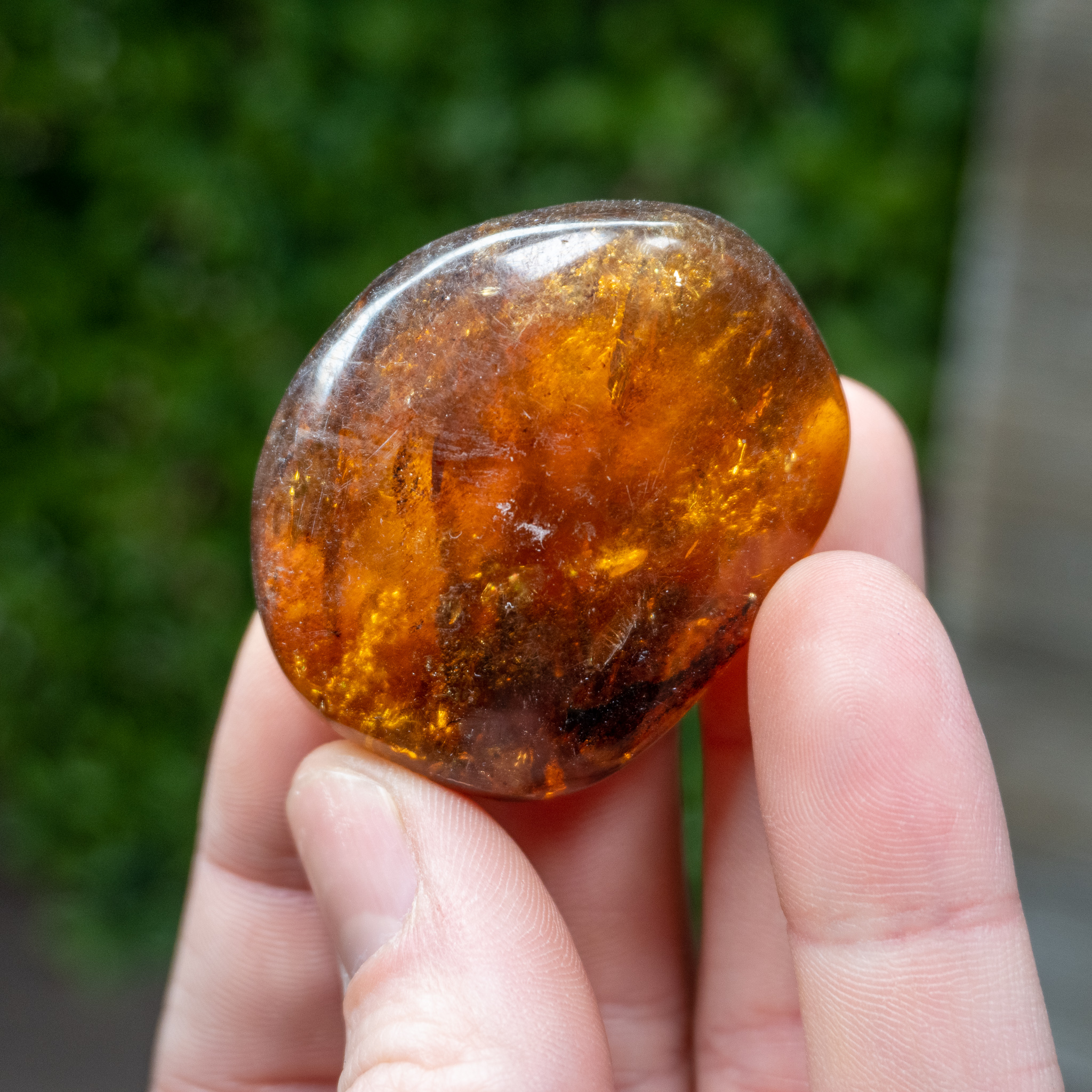 Amber #5 - The Crystal Council