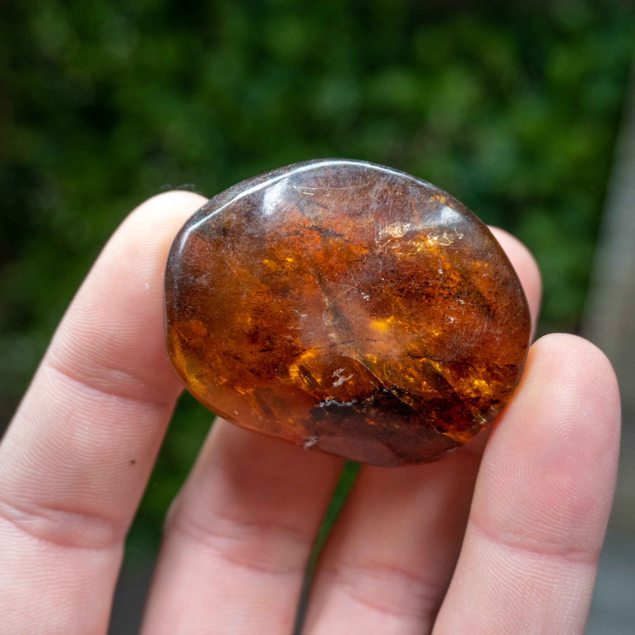 Amber #5 - The Crystal Council