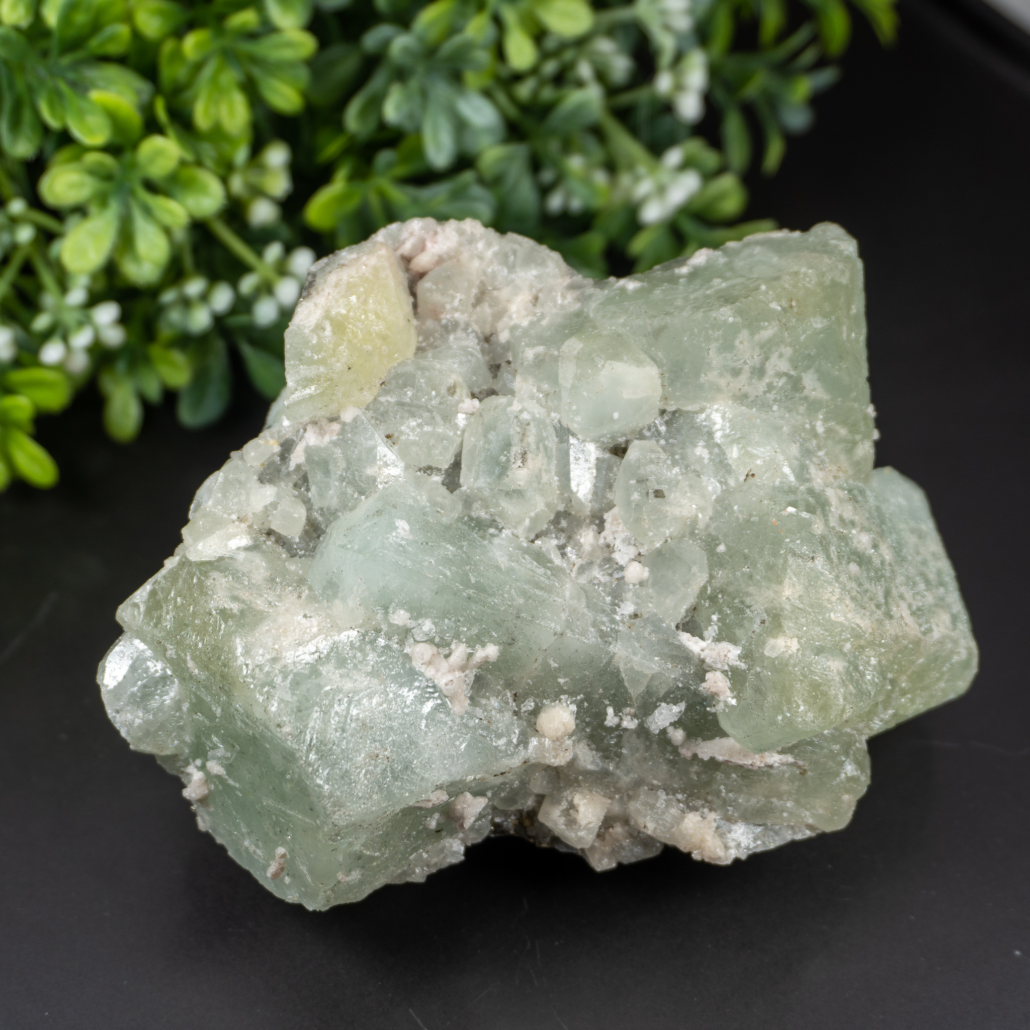 Datolite with Pyrite #4 - The Crystal Council