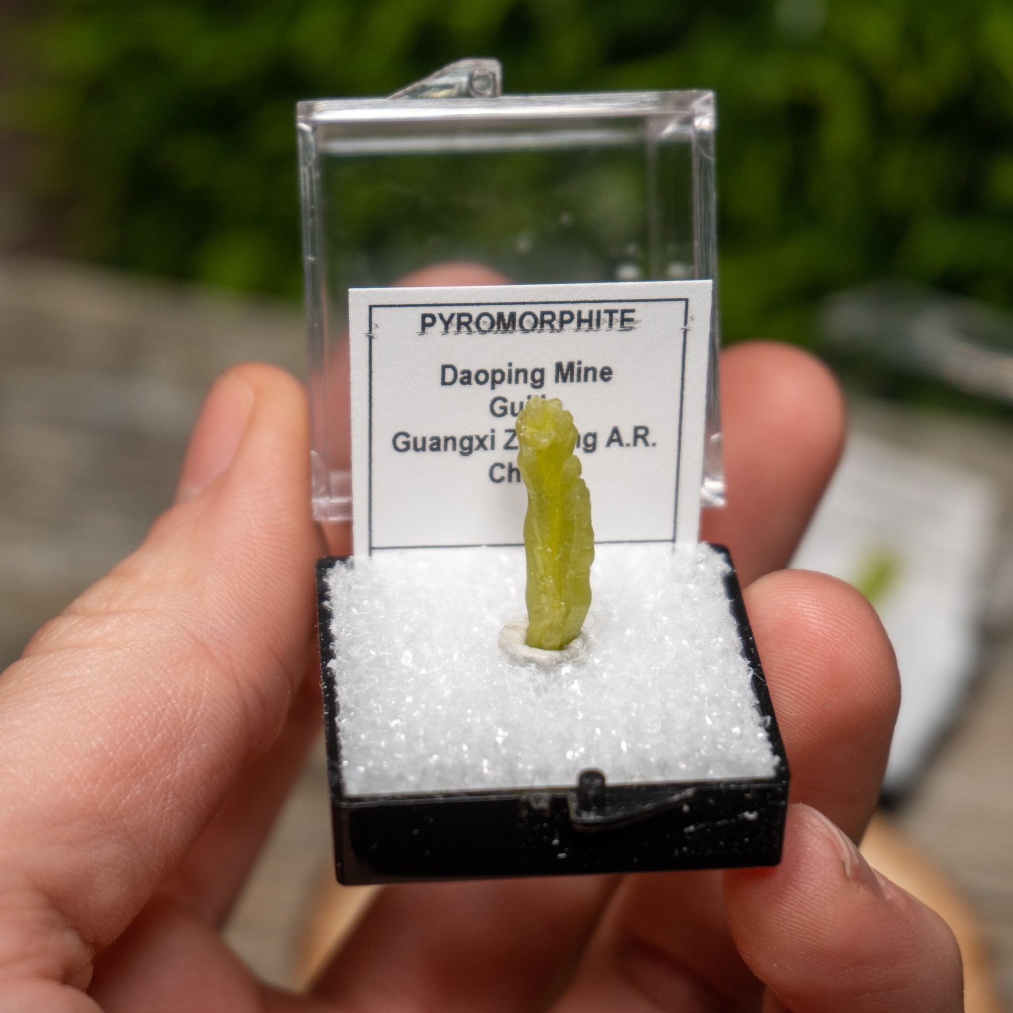 Pyromorphite Microspecimen - The Crystal Council