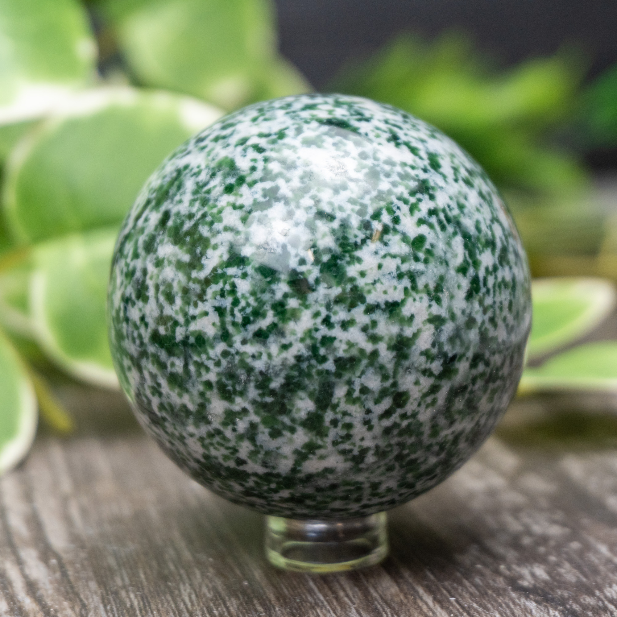 Tree Agate Sphere #1 - The Crystal Council