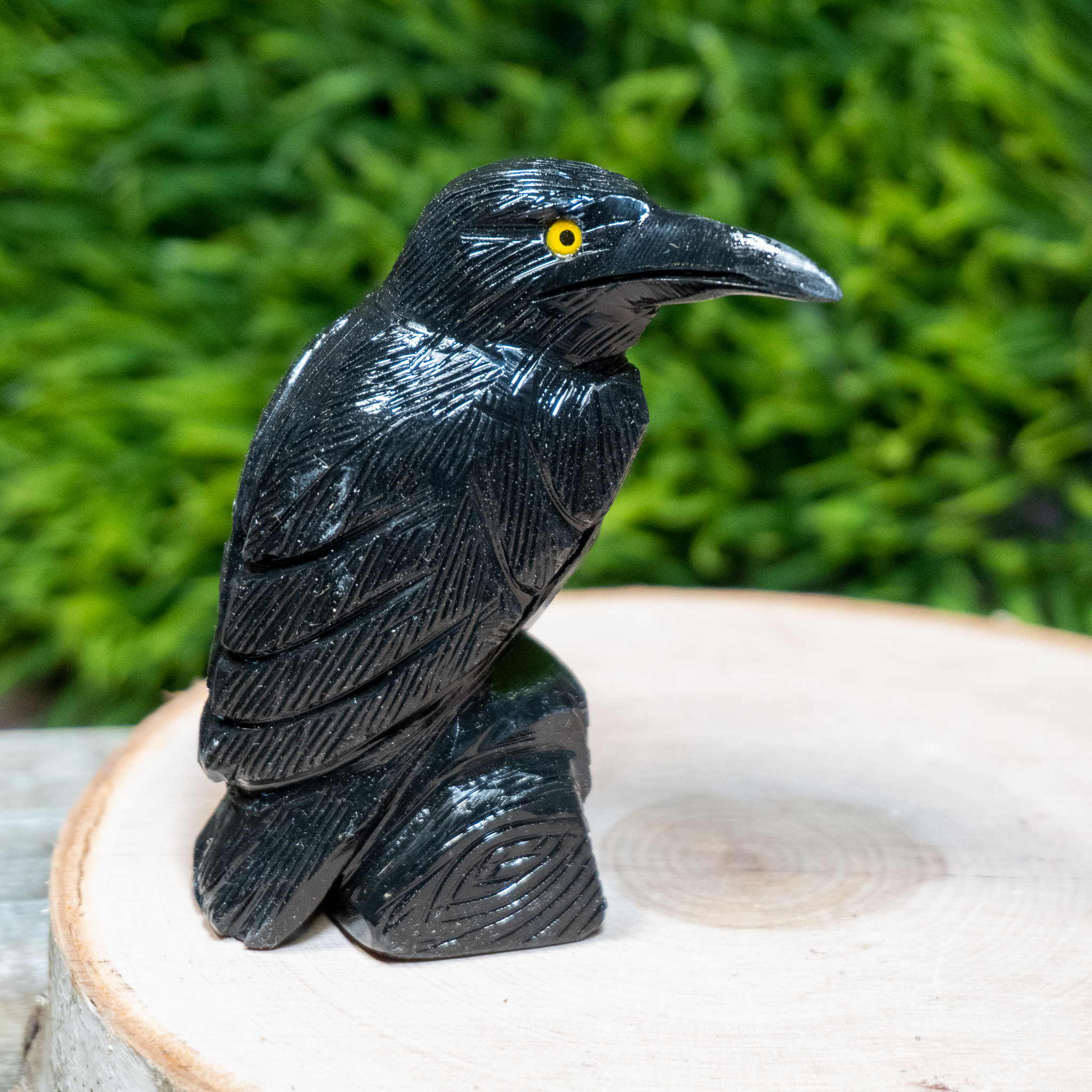 Large Onyx Raven - The Crystal Council