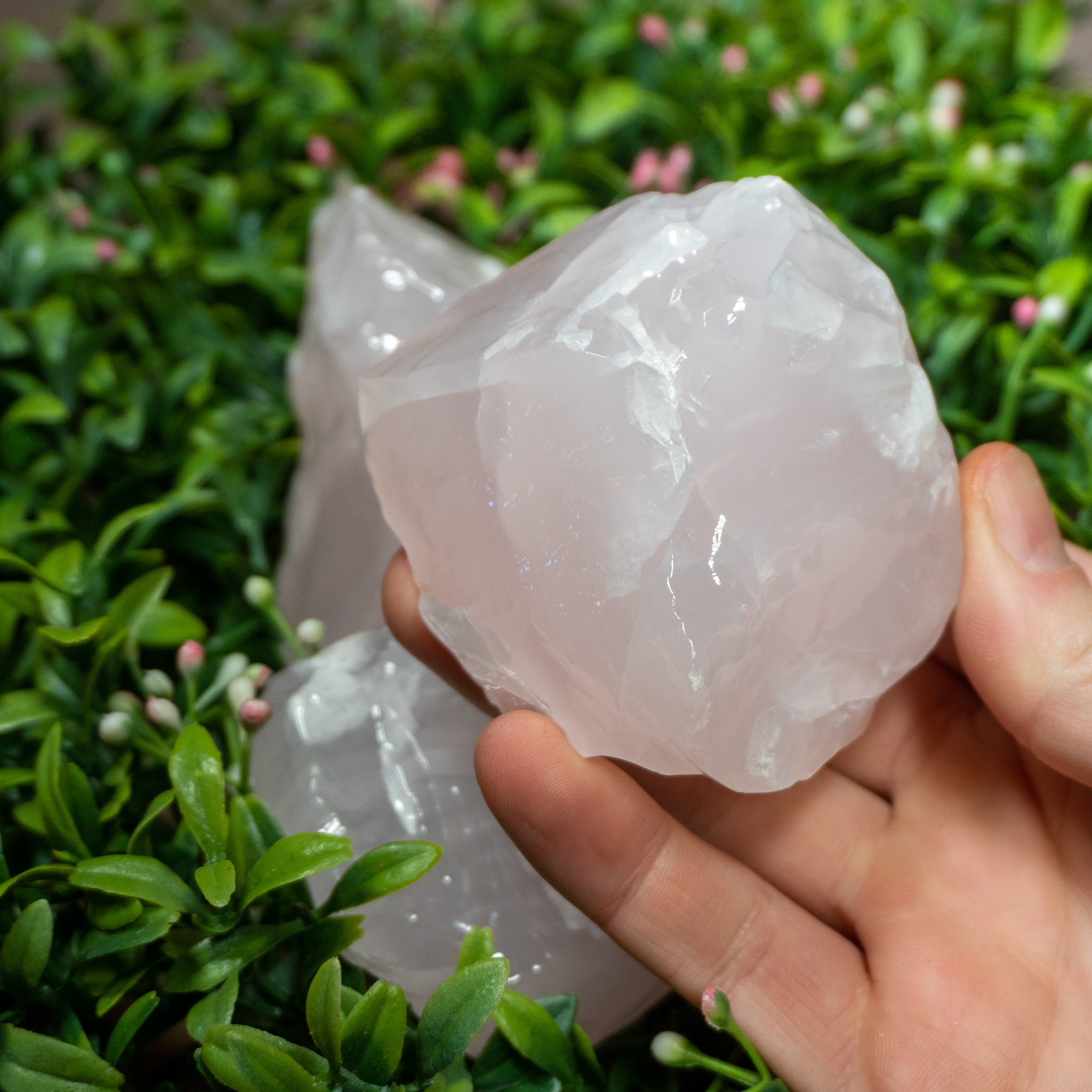 Raw Pink Calcite - The Crystal Council