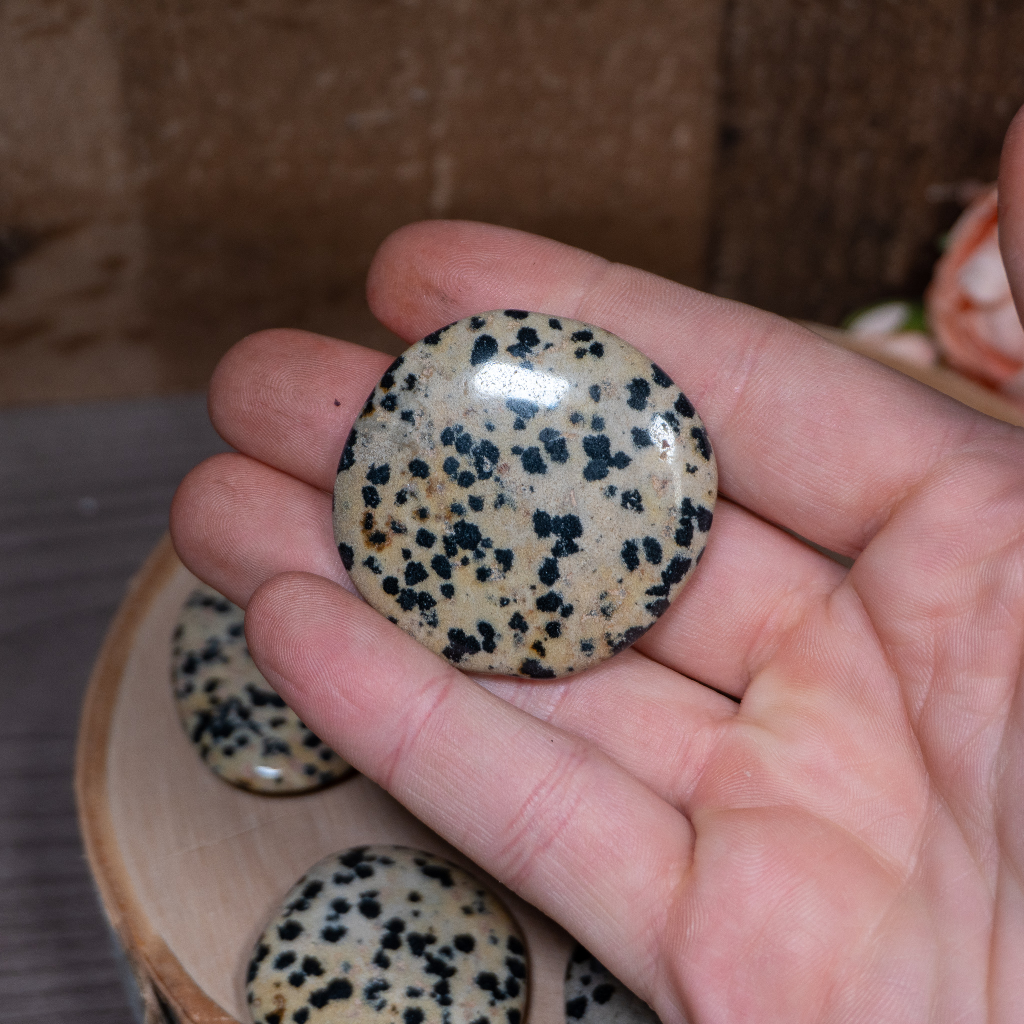 Small Dalmation Stone Palmstone - The Crystal Council