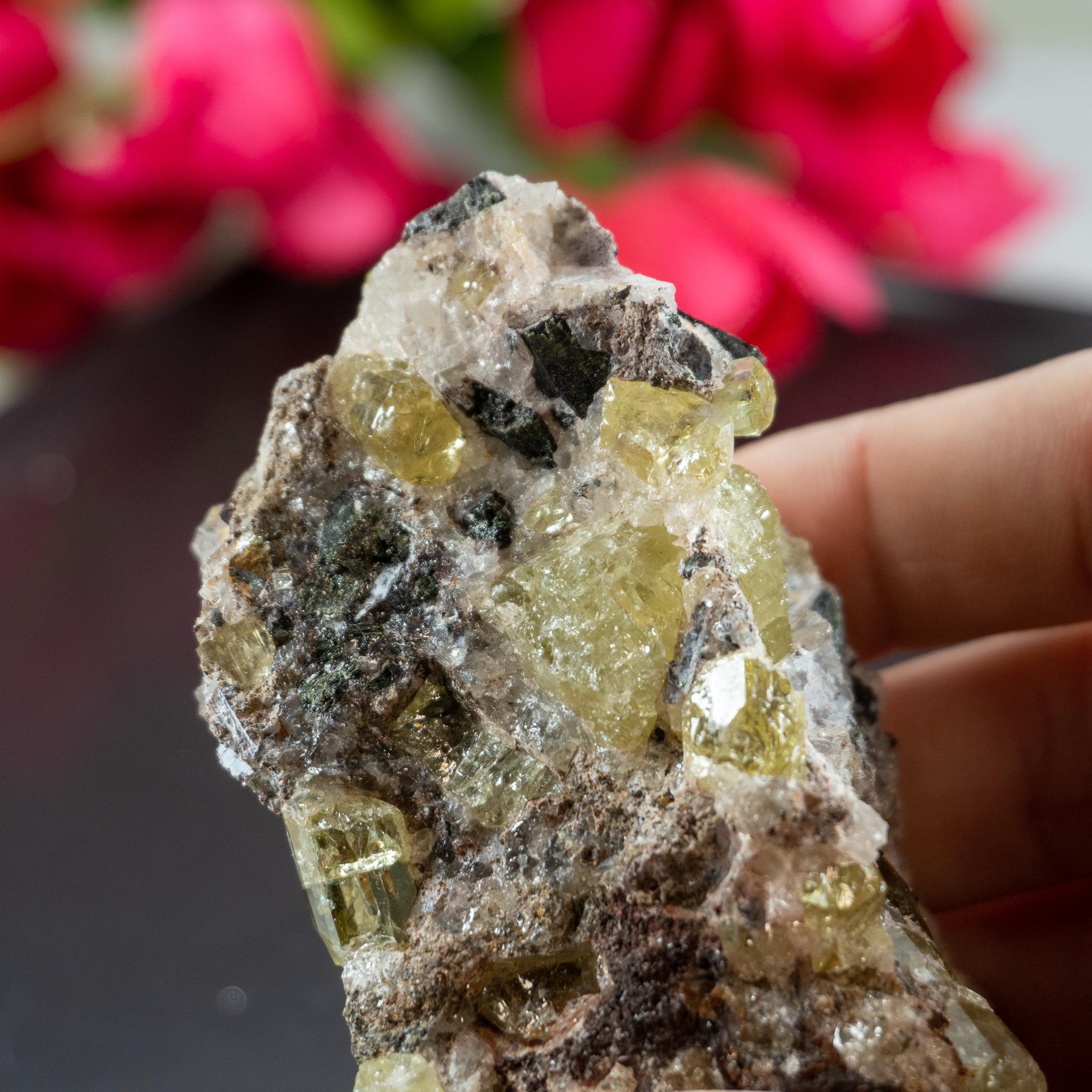 Green Apatite in Matrix #5 - The Crystal Council