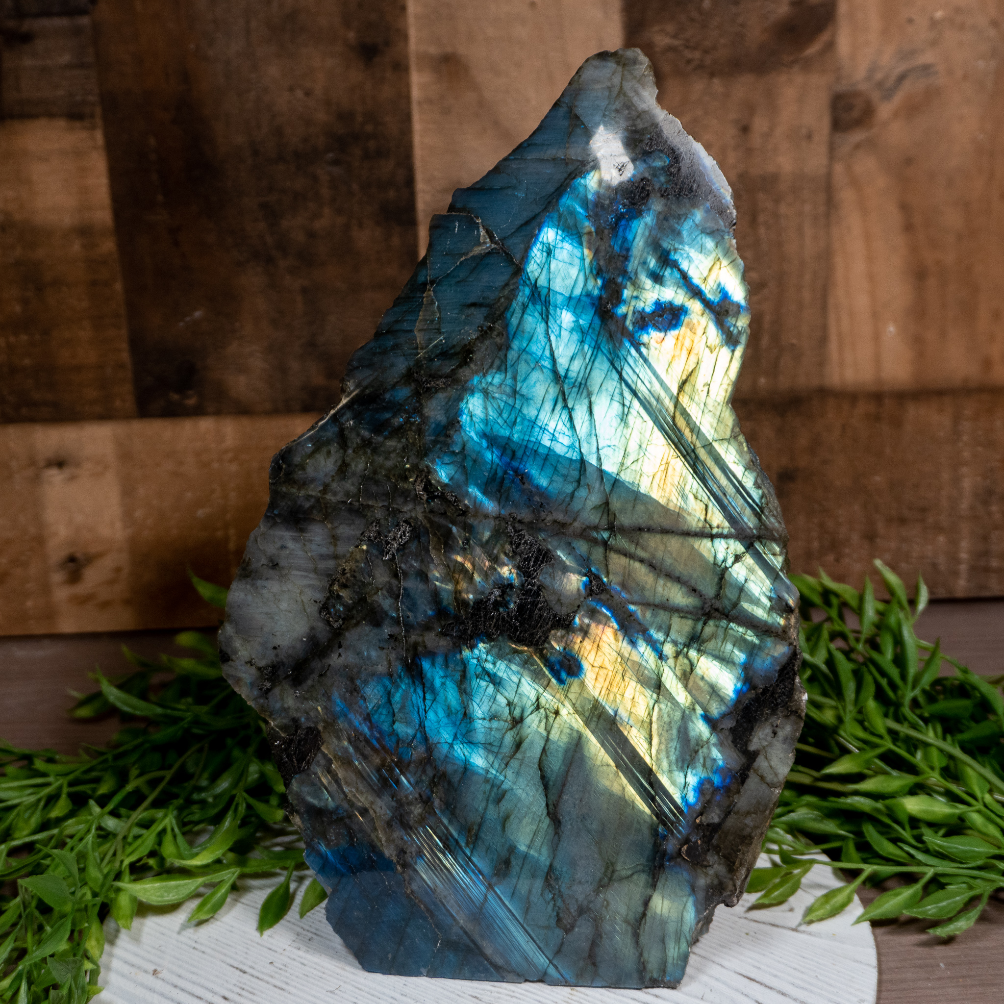 Large Half Polished Labradorite #4 - The Crystal Council