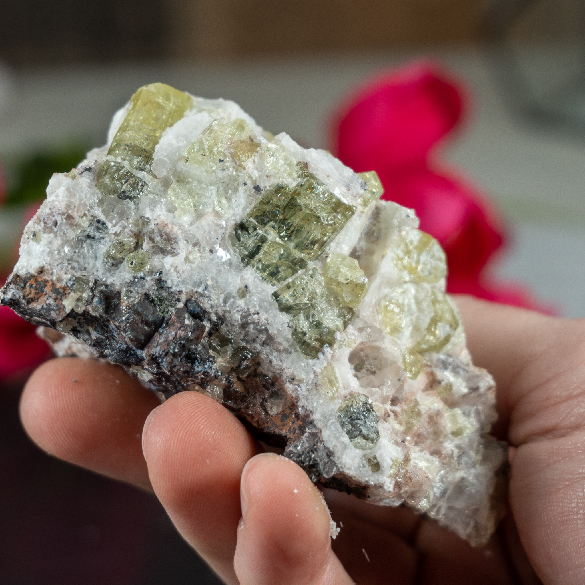 Green Apatite in Matrix #6 - The Crystal Council