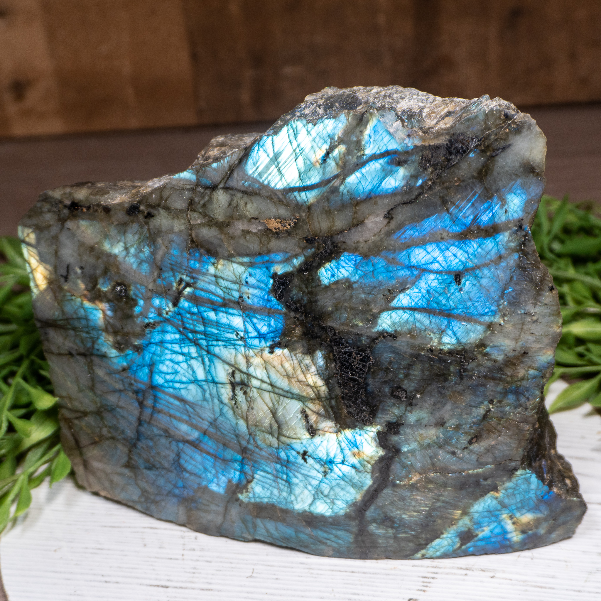 Large Half Polished Labradorite #2 - The Crystal Council