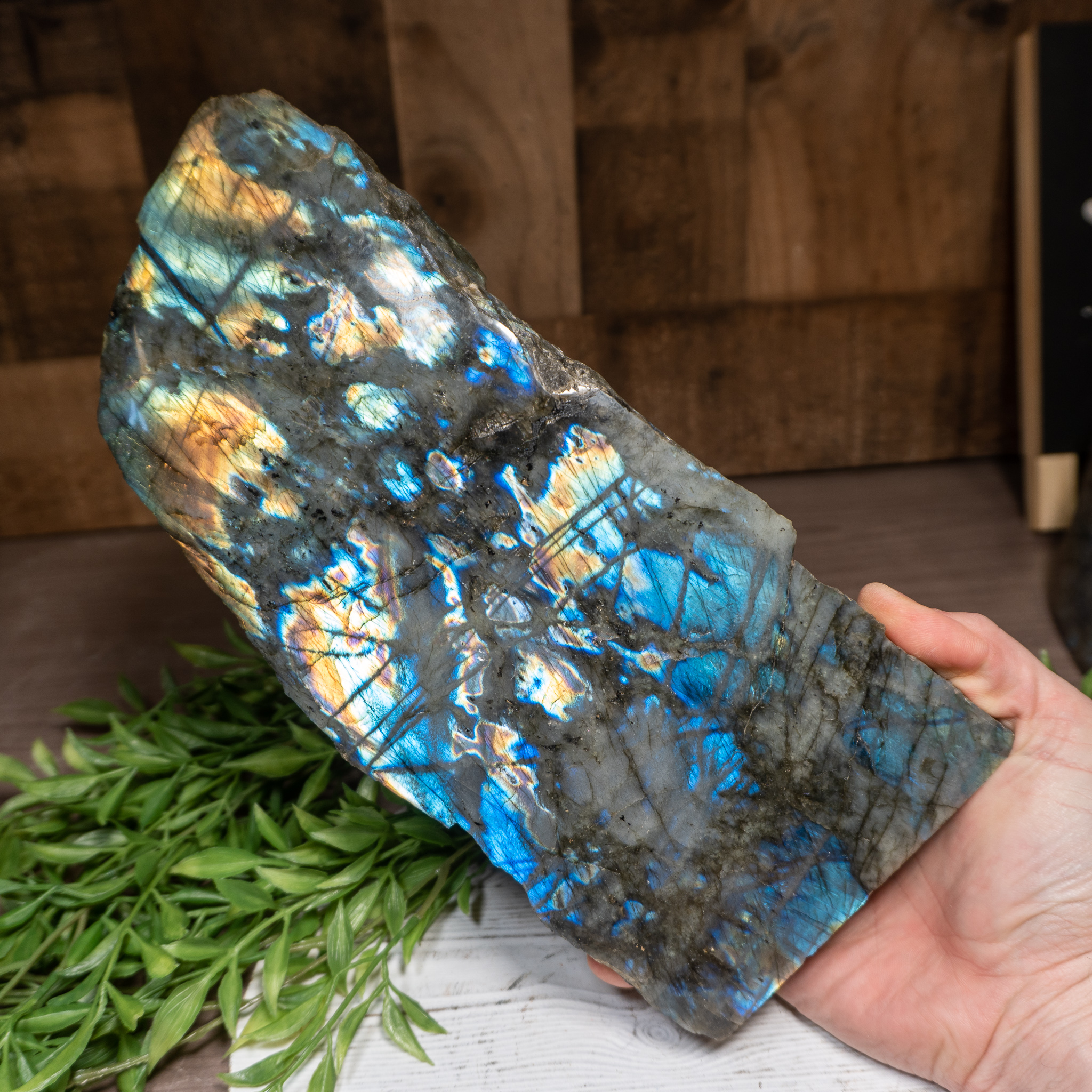 Large Half Polished Labradorite #1 - The Crystal Council