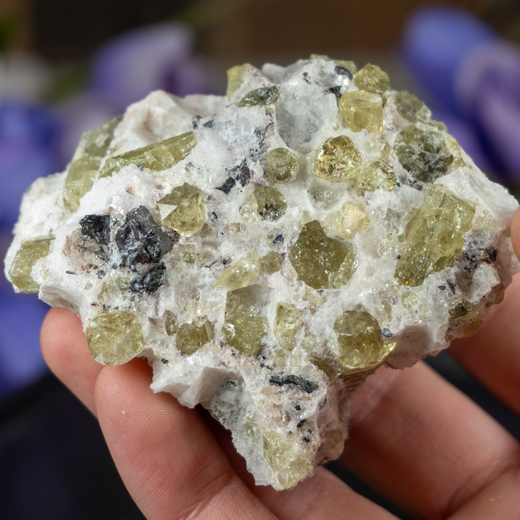 Green Apatite in Matrix #8 - The Crystal Council