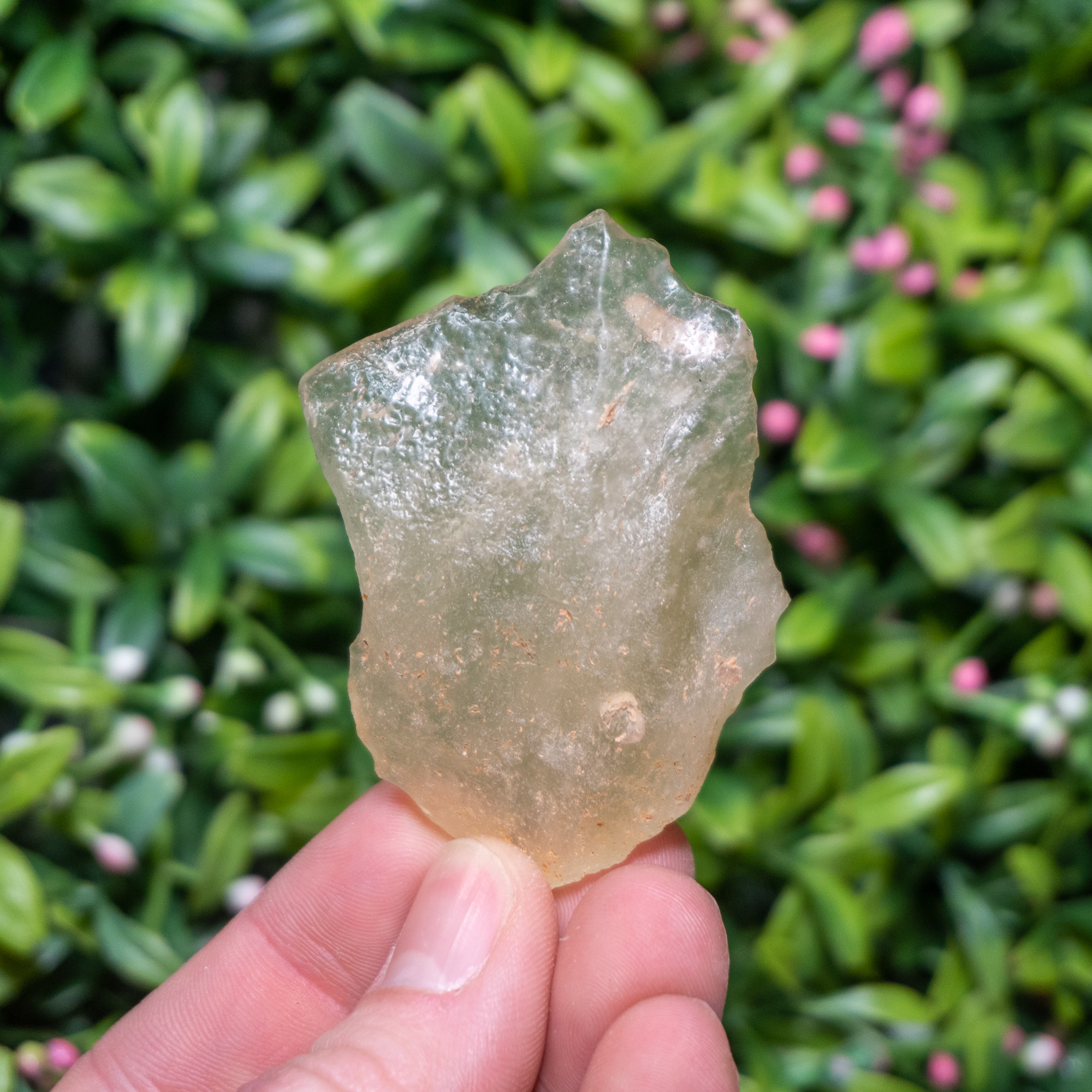 Large Libyan Desert Glass #4 - The Crystal Council