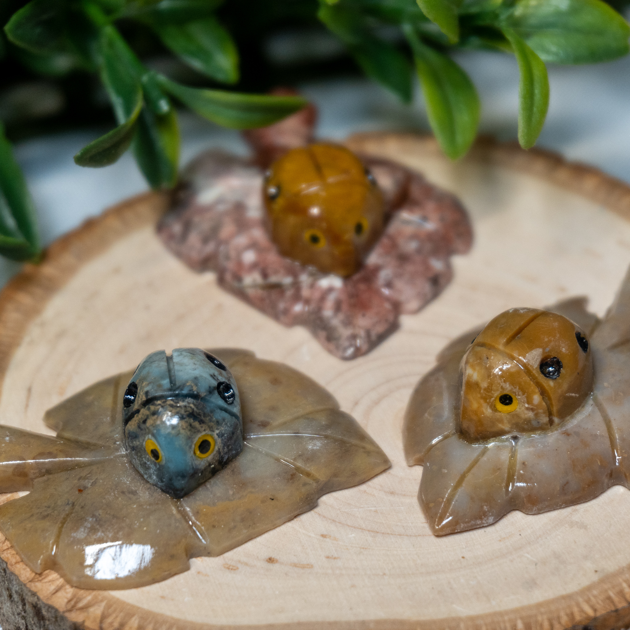 Dolomite Ladybug on Leaf - The Crystal Council