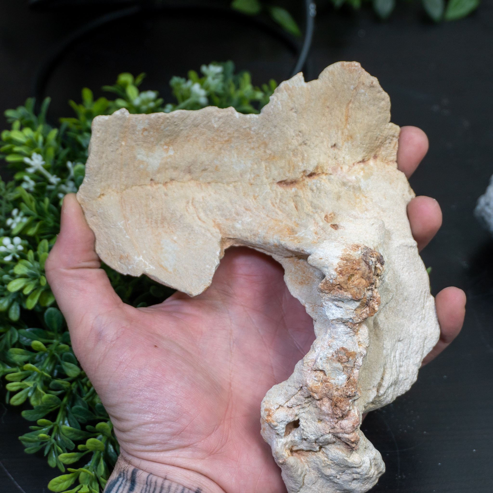 Fulgurite #8 - The Crystal Council