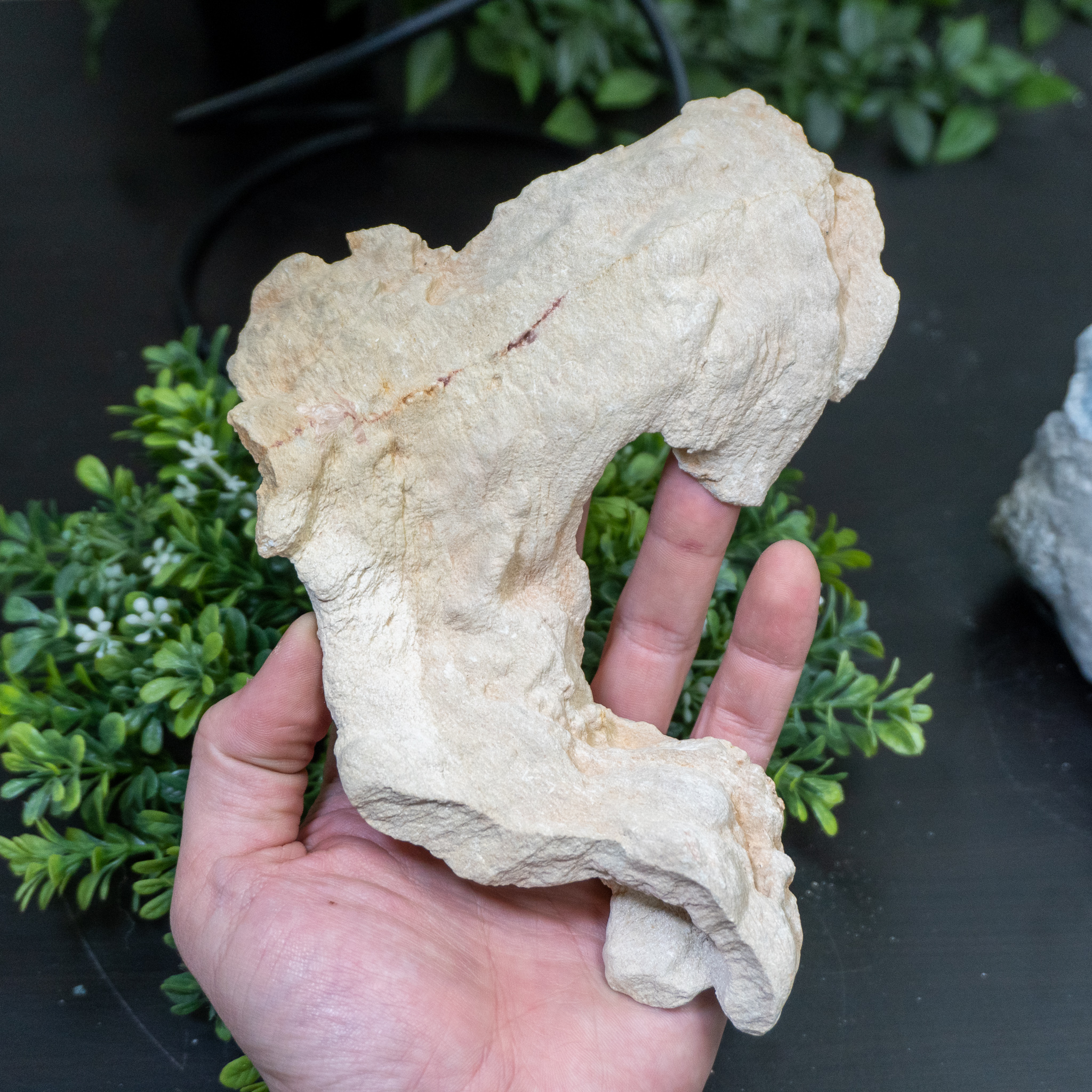 Fulgurite #8 - The Crystal Council