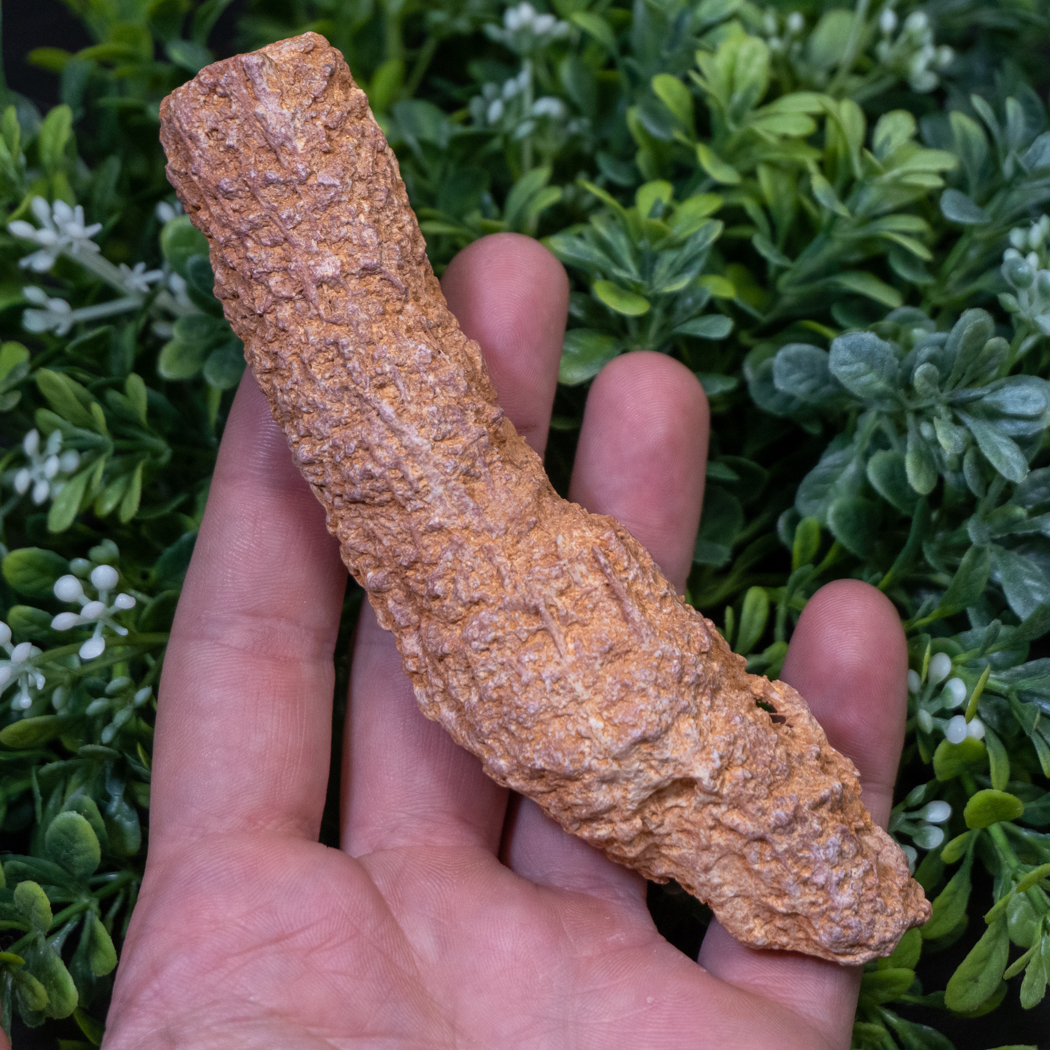 Fulgurite #4 - The Crystal Council