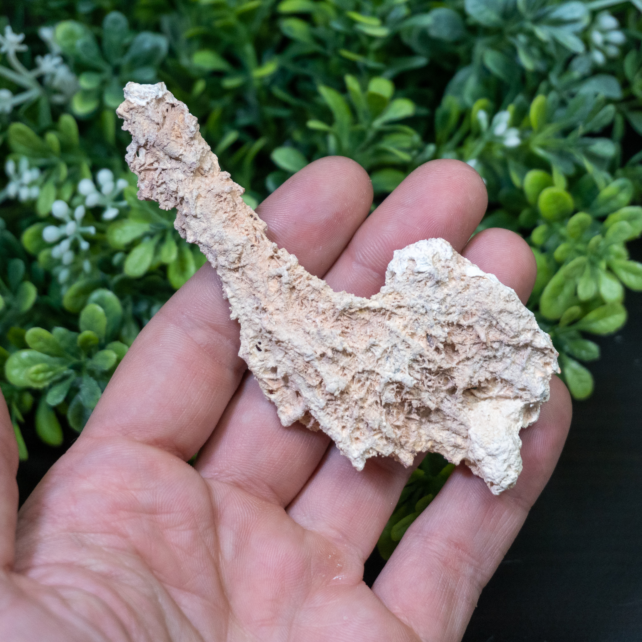 Fulgurite #2 - The Crystal Council