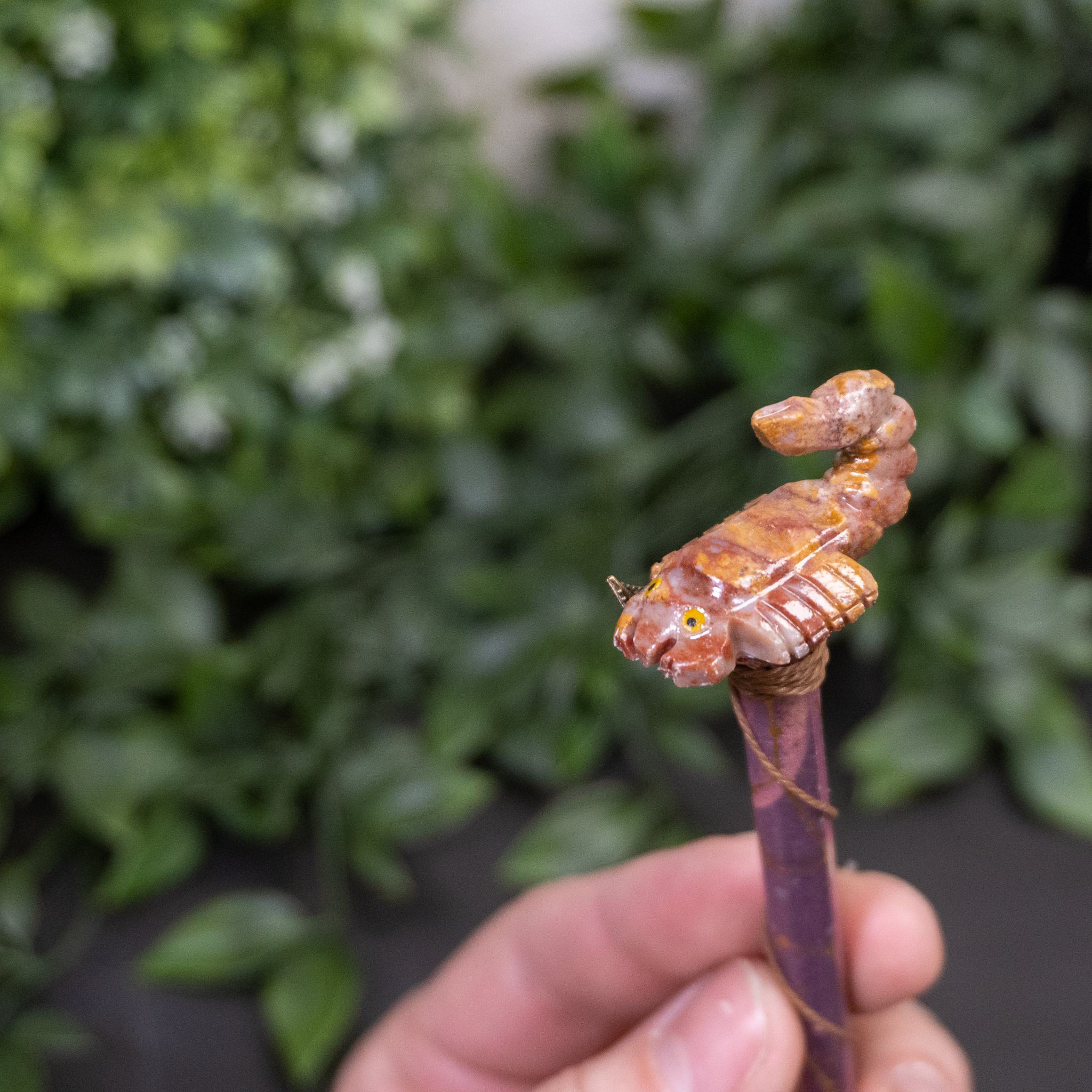 Scorpion Pen - The Crystal Council