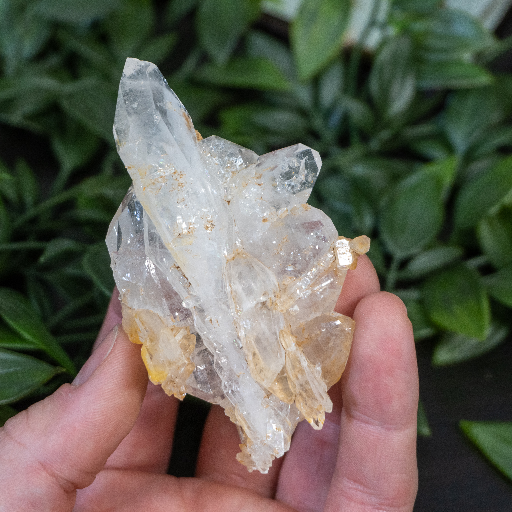 Faden Quartz #3 - The Crystal Council