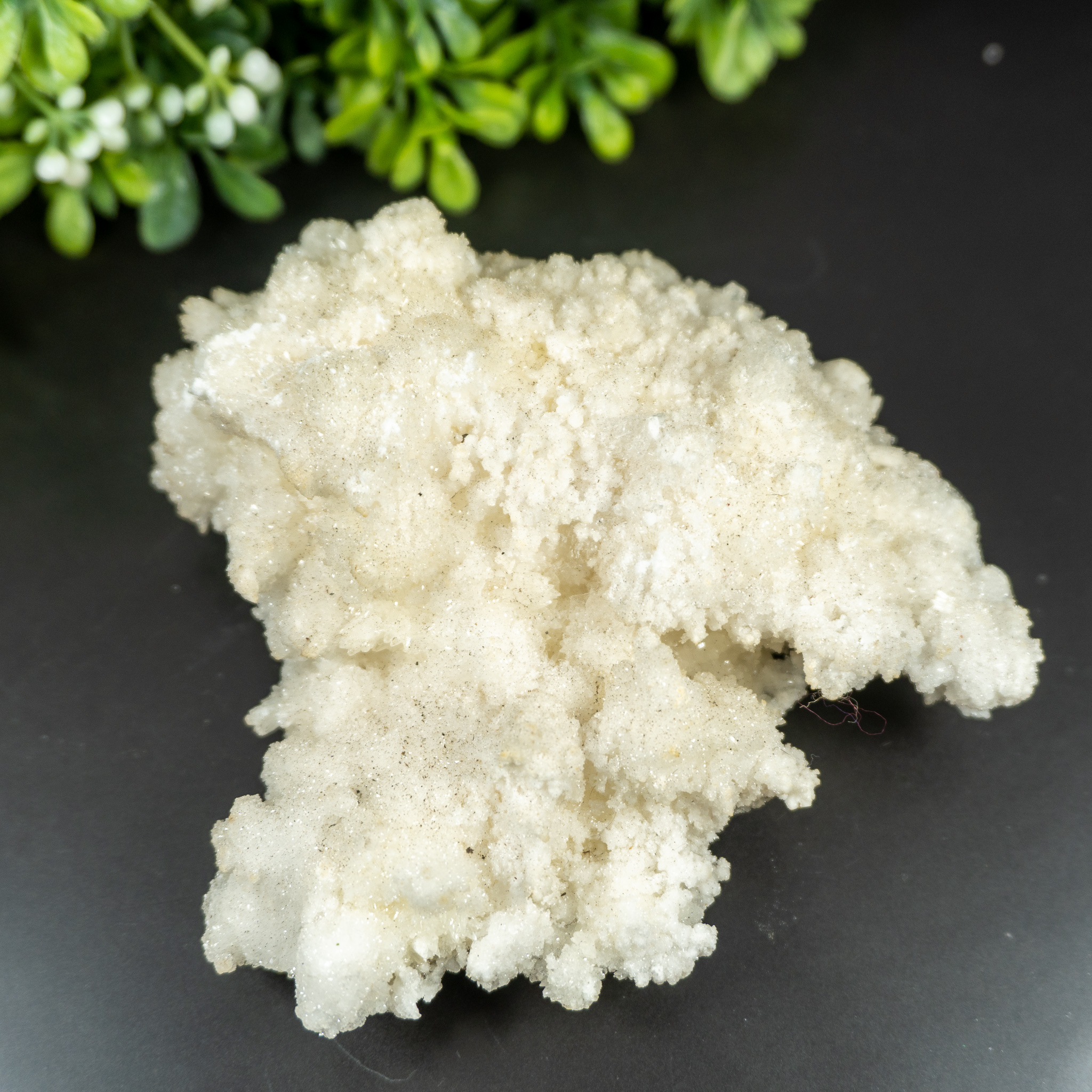 Raw White Aragonite #1 - The Crystal Council