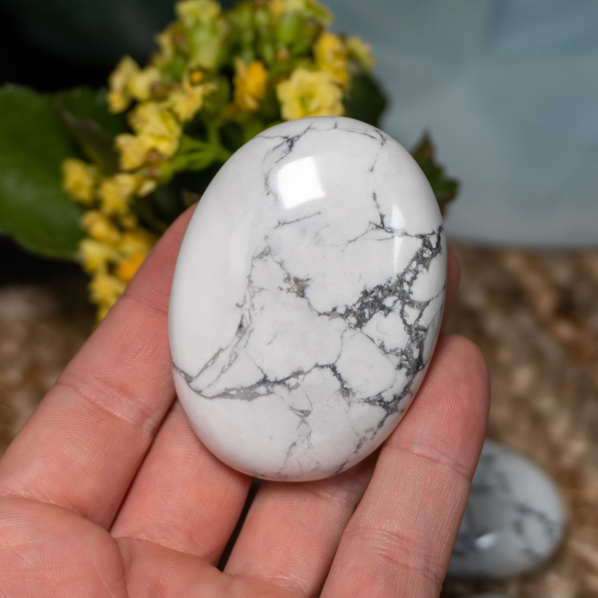 Howlite Palmstone - The Crystal Council