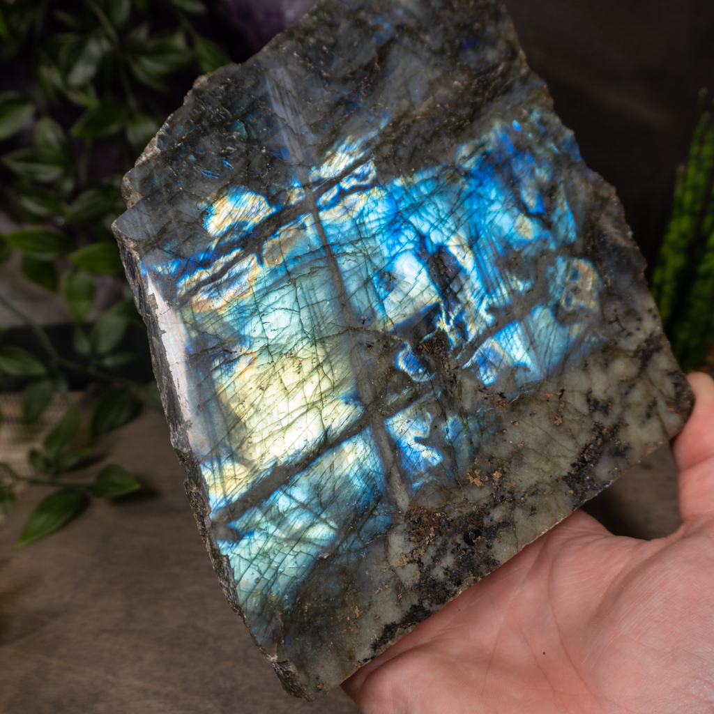 Large Half Polished Labradorite #5 - The Crystal Council