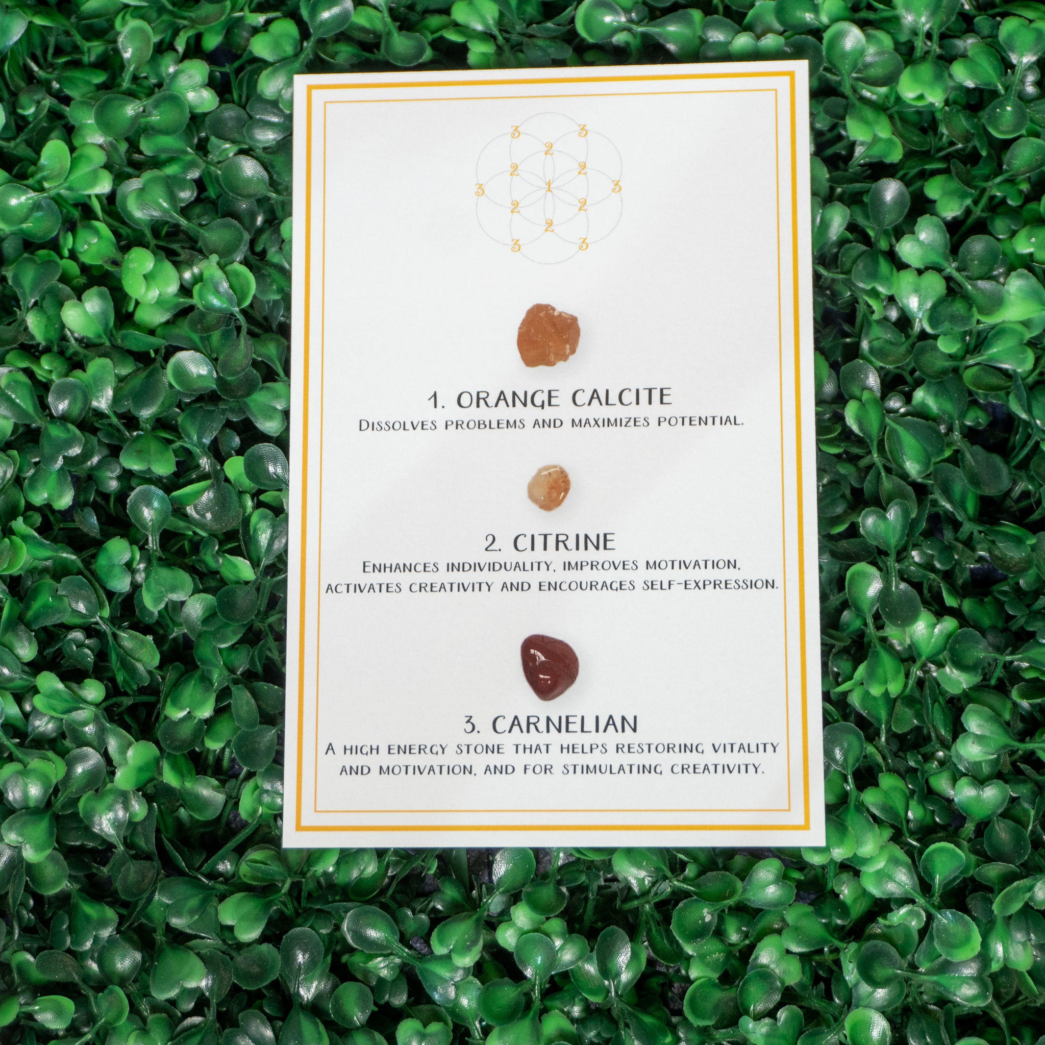 Creative Grid Card - The Crystal Council