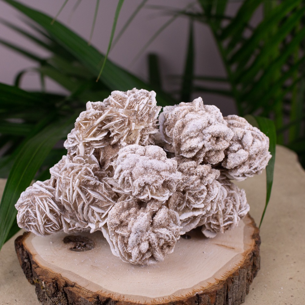 Desert Rose Selenite #15 - The Crystal Council