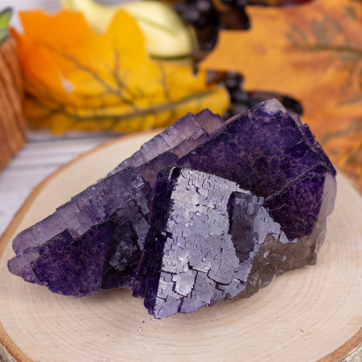 Purple Fluorite #17 - The Crystal Council