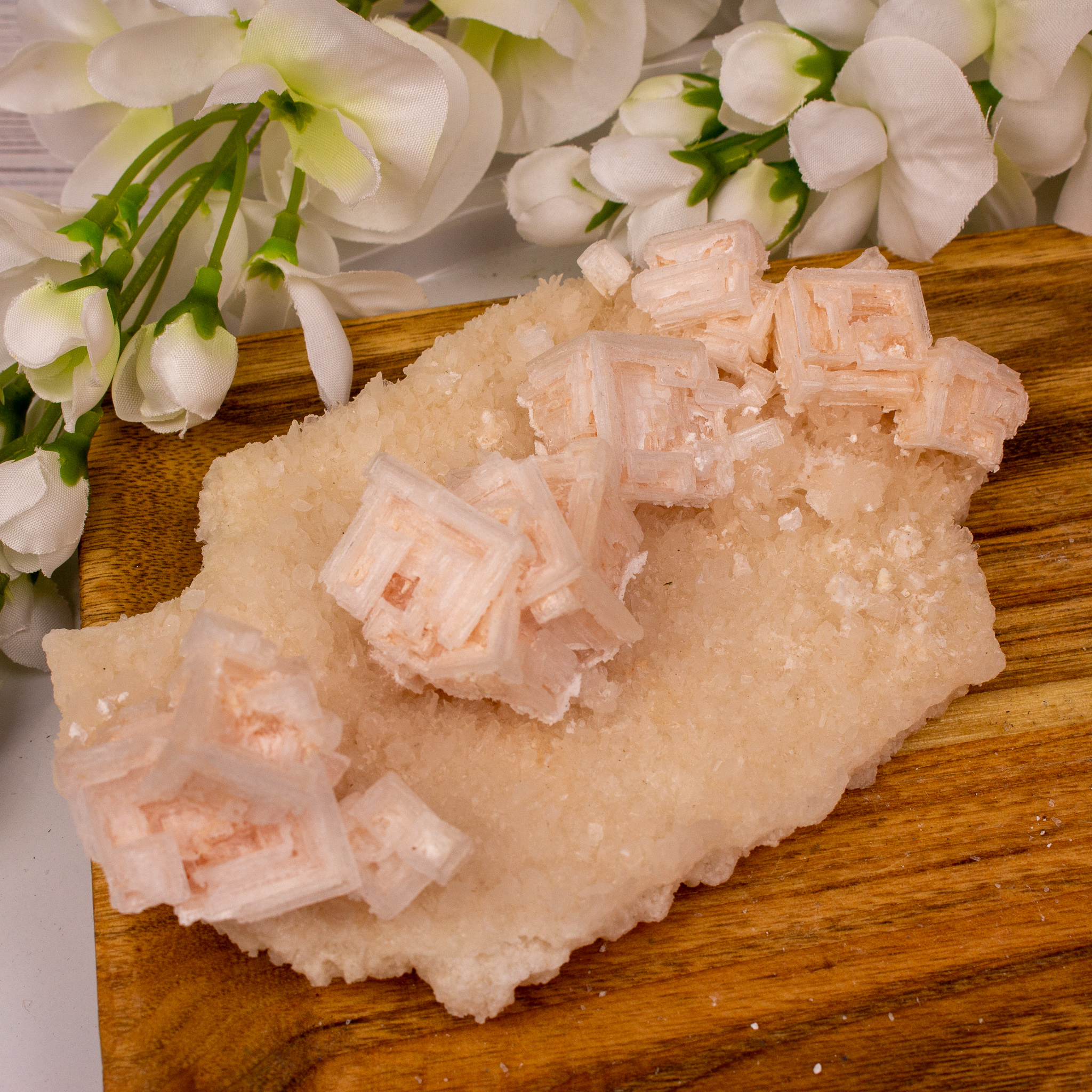 Pink Halite #3 - The Crystal Council