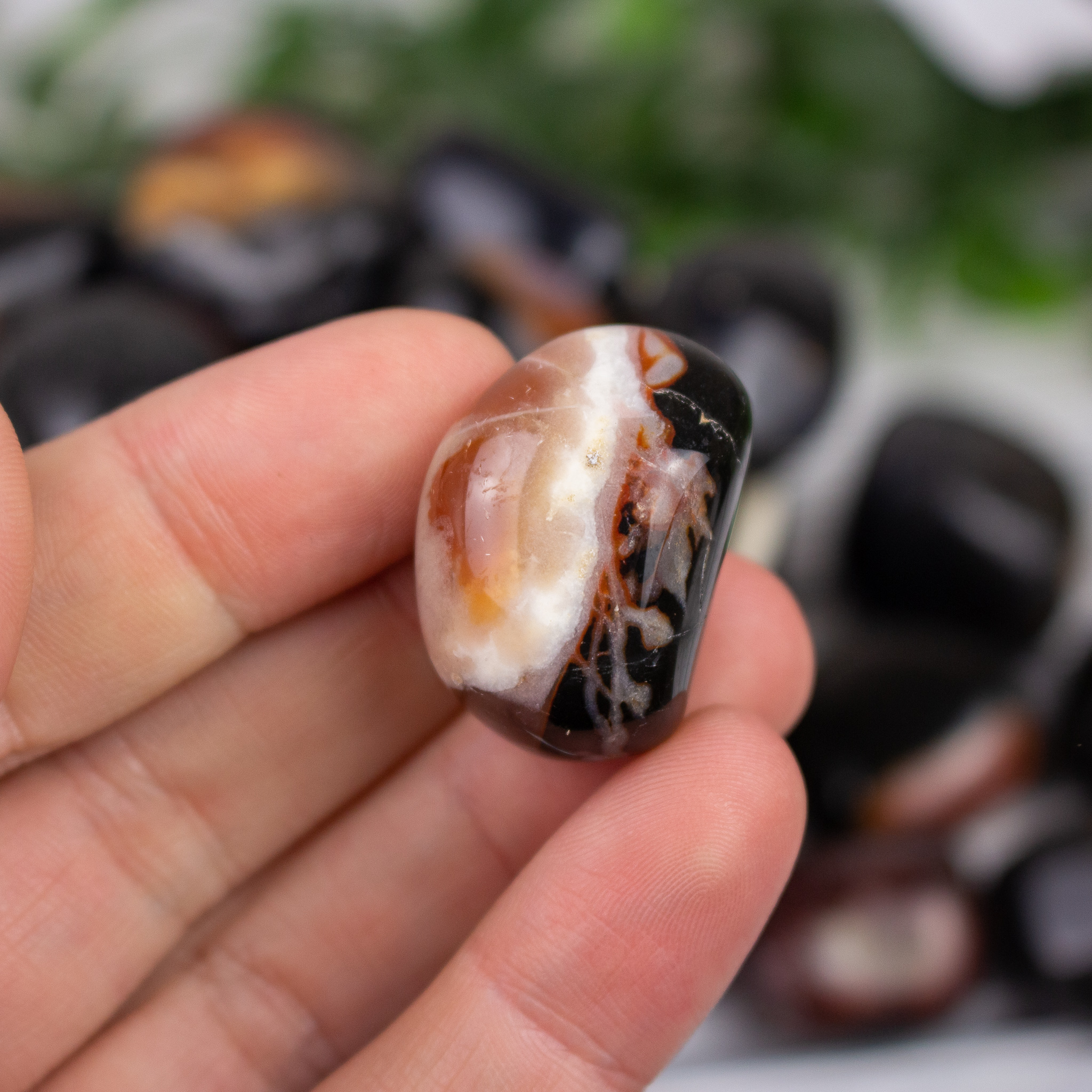 Sardonyx Tumbled - The Crystal Council