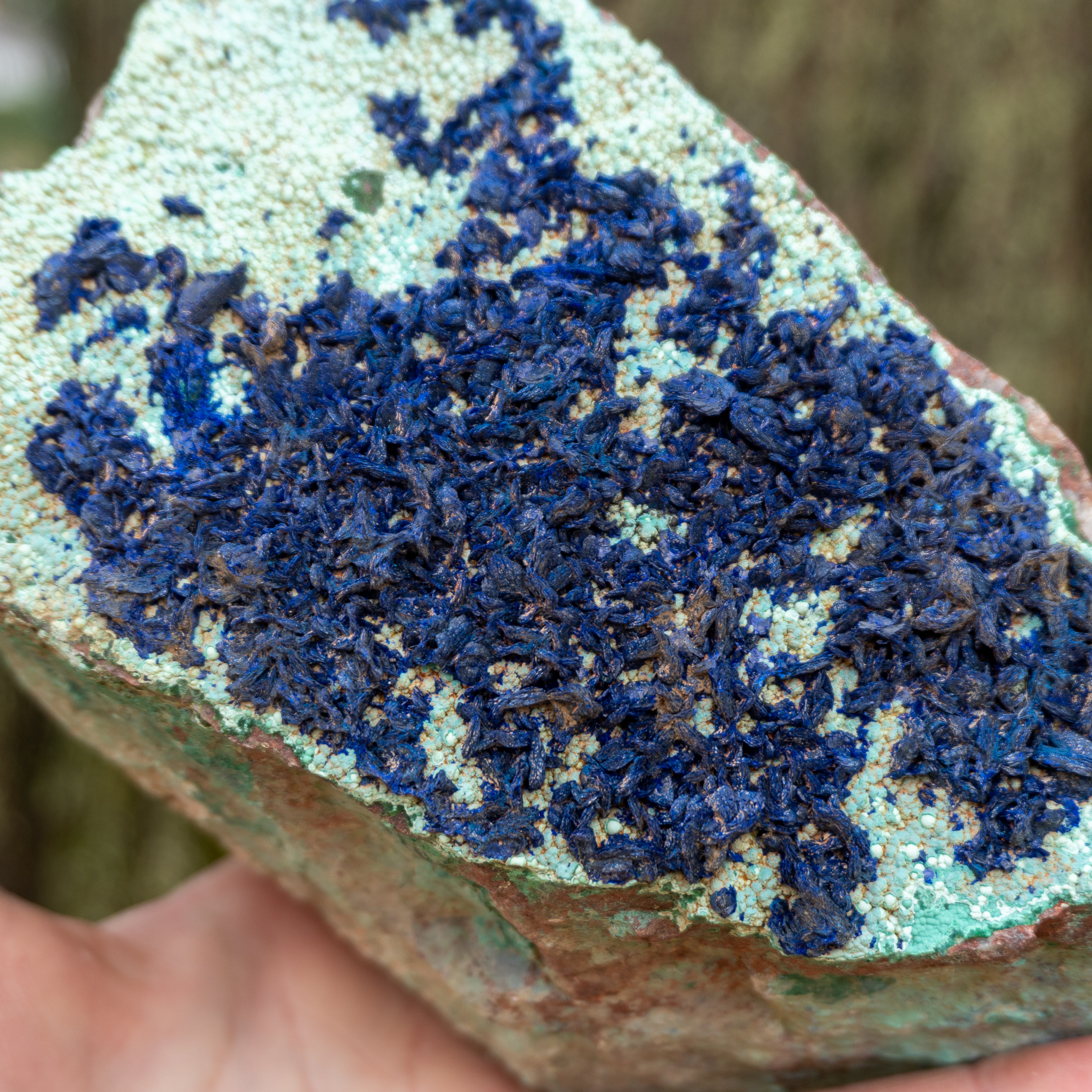 Azurite Over Botryoidal Malachite on Matrix - The Crystal Council