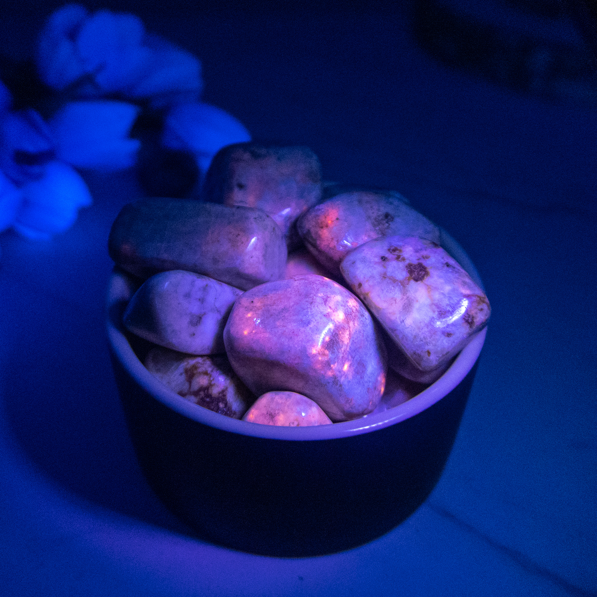 Hackmanite Tumbled - The Crystal Council