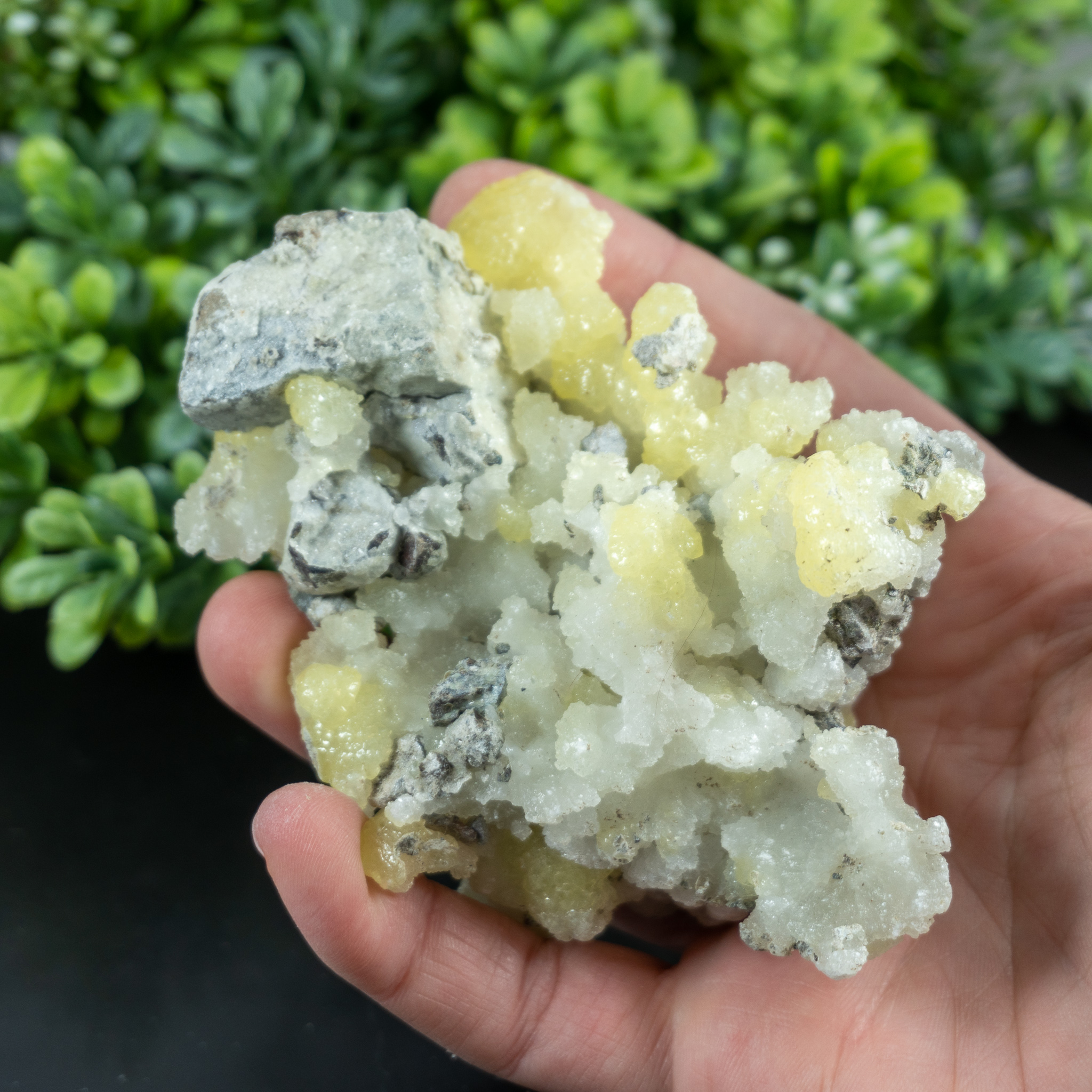 Brucite #2 - The Crystal Council