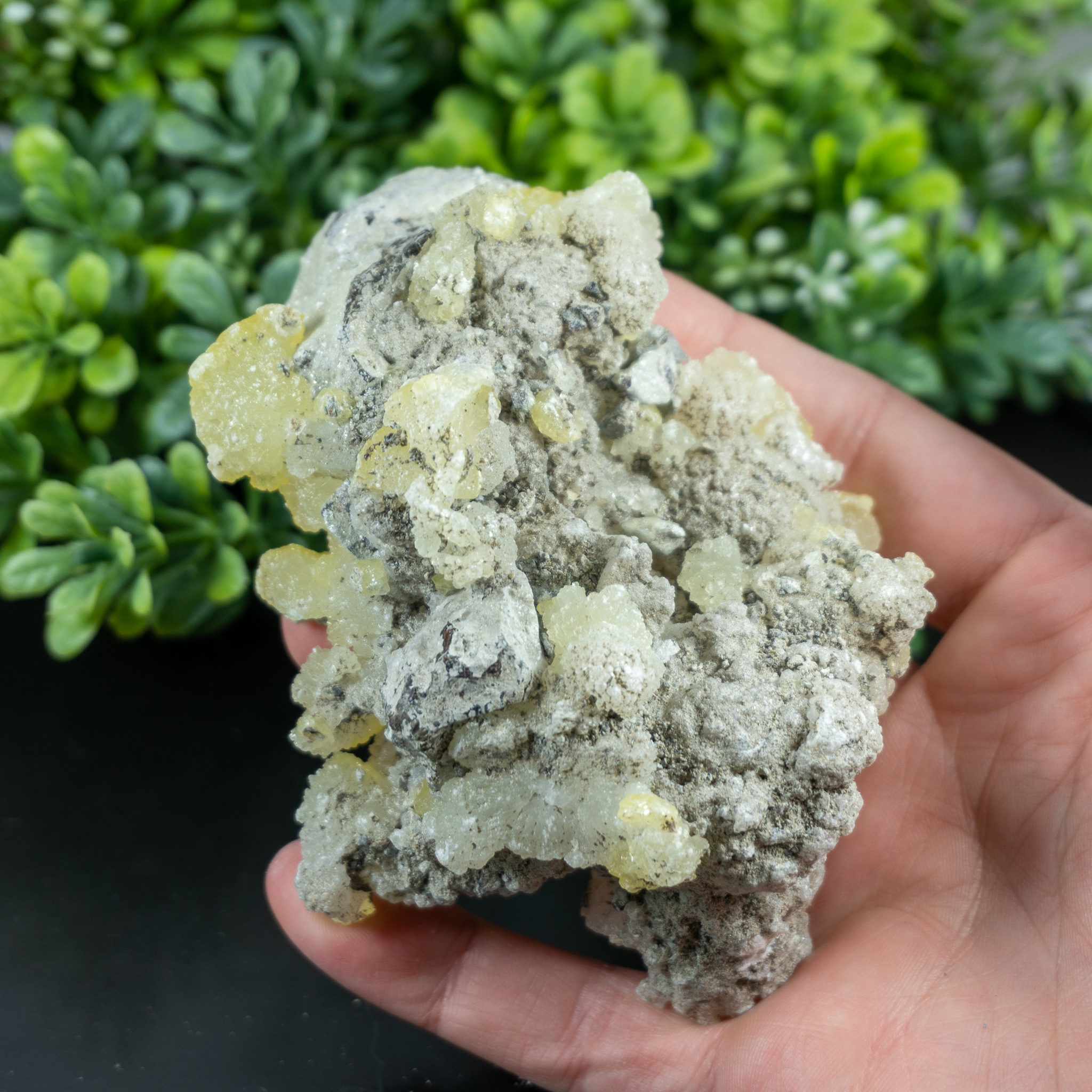 Brucite #2 - The Crystal Council