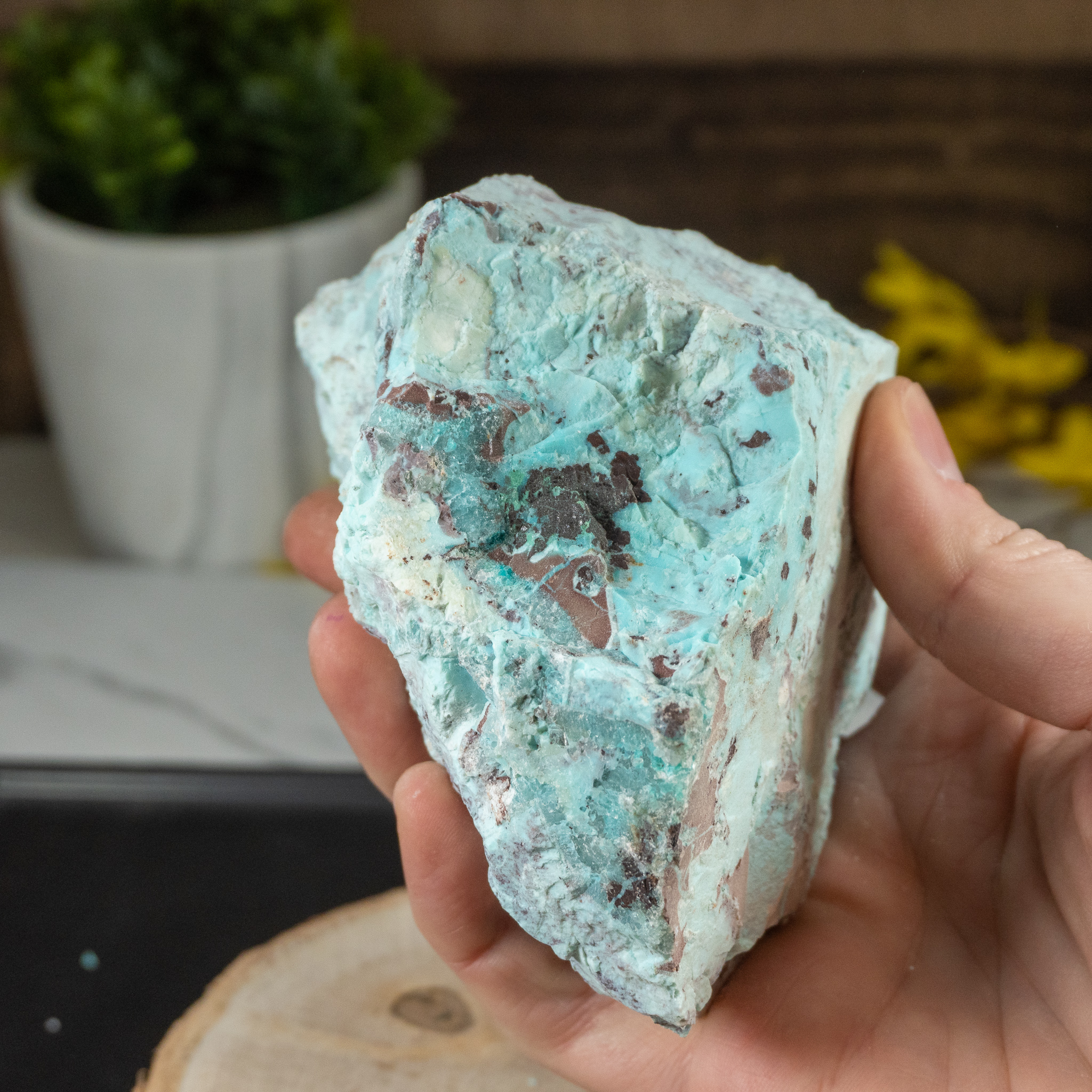 Raw Chrysocolla #3 - The Crystal Council